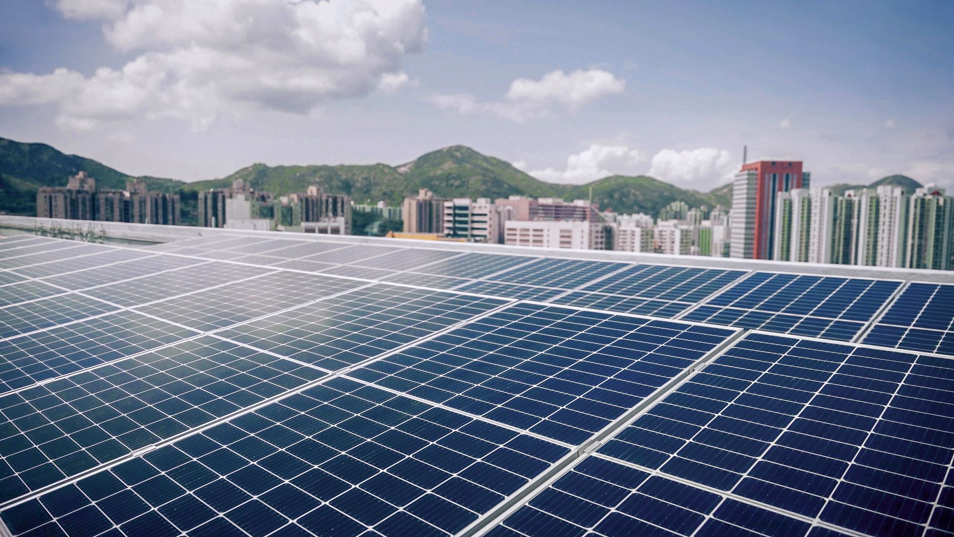 Solar Plant Wallpapers - Top Free Solar Plant Backgrounds - WallpaperAccess