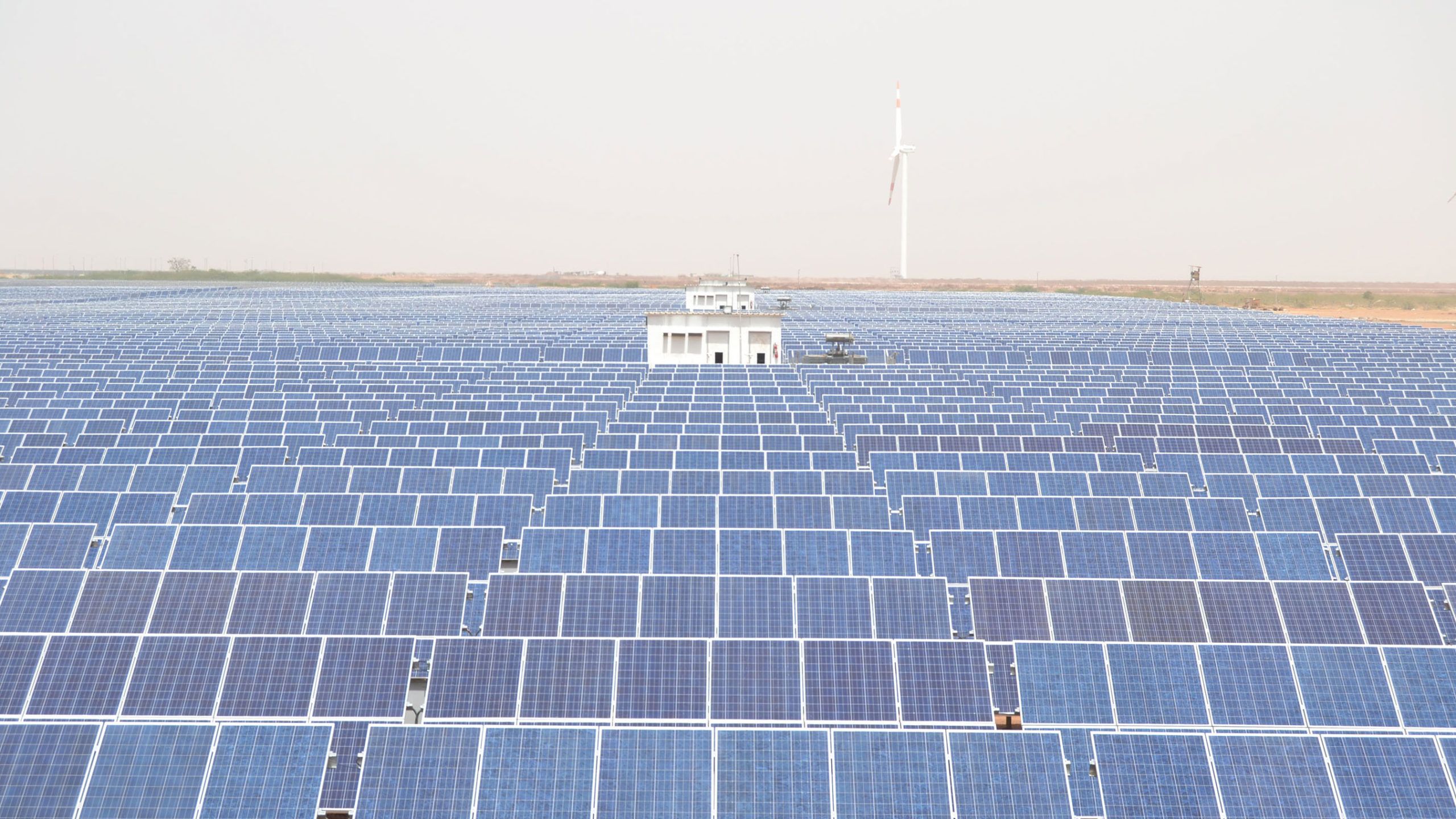 Solar Plant Wallpapers - Top Free Solar Plant Backgrounds - WallpaperAccess