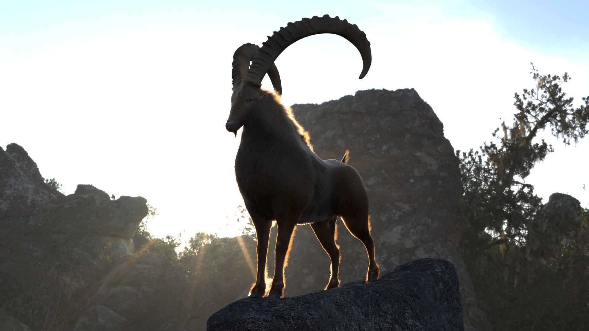 Ibex Wallpapers - Top Free Ibex Backgrounds - WallpaperAccess