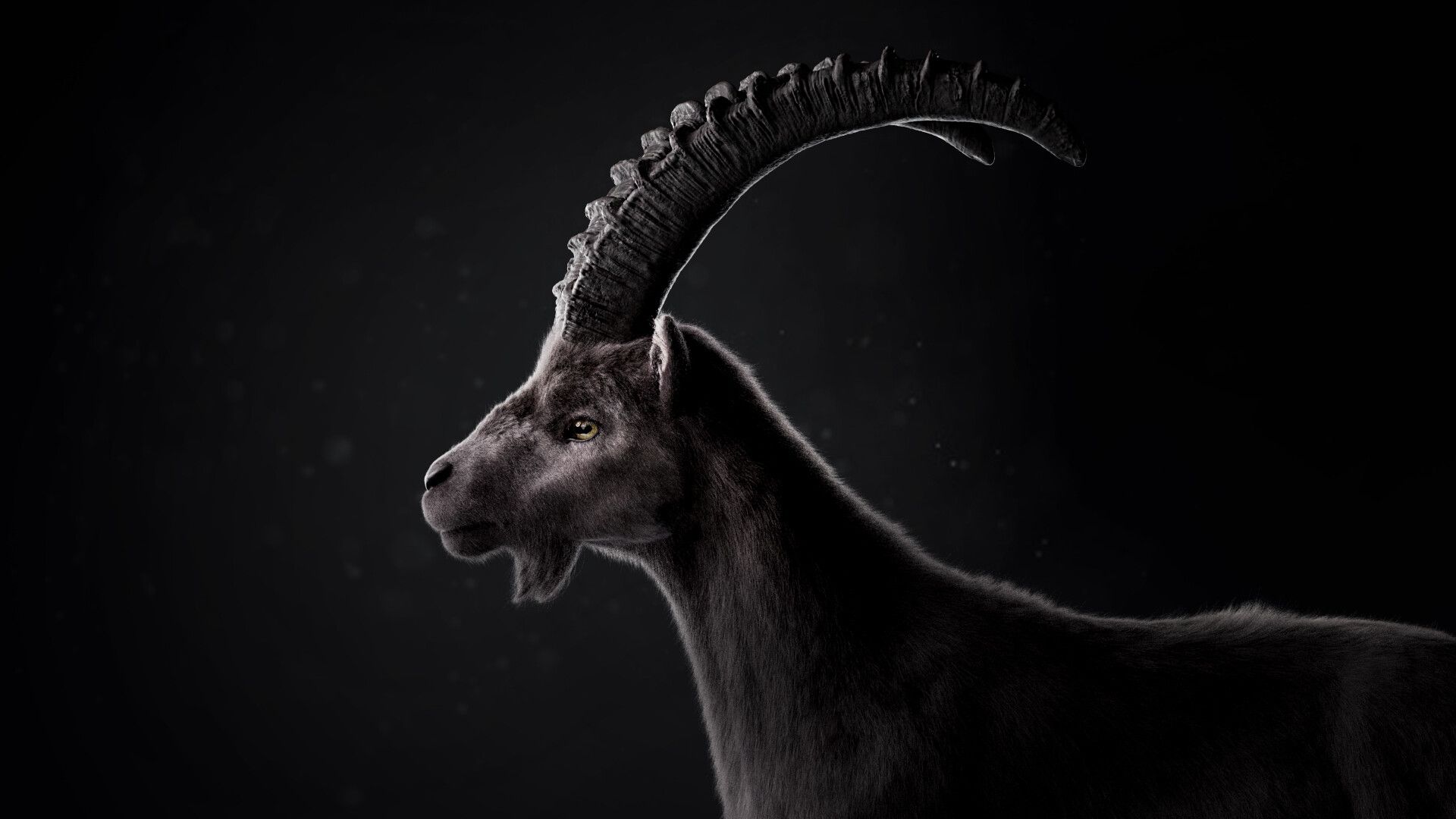 Ibex Wallpapers - Top Free Ibex Backgrounds - WallpaperAccess