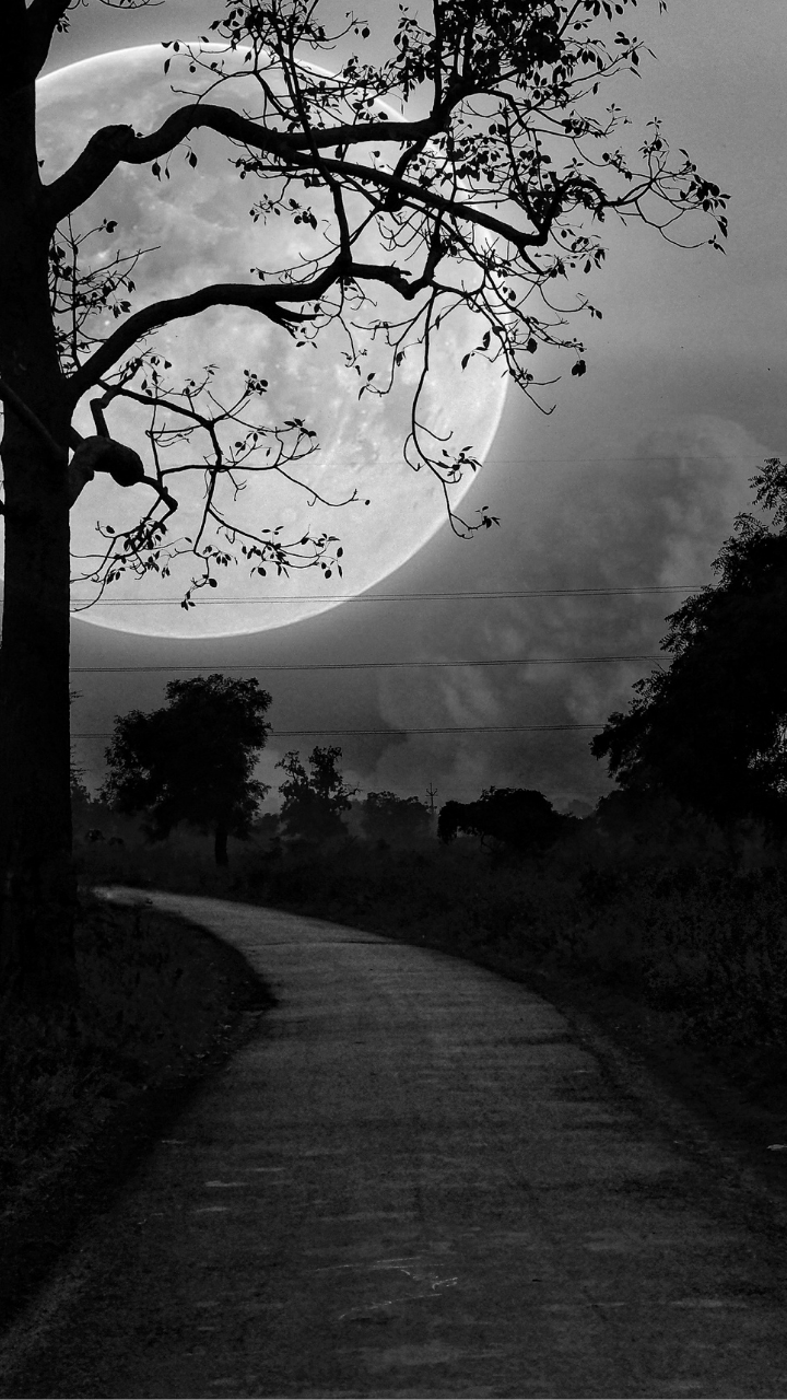 Horror Place Wallpapers - Top Free Horror Place Backgrounds ...