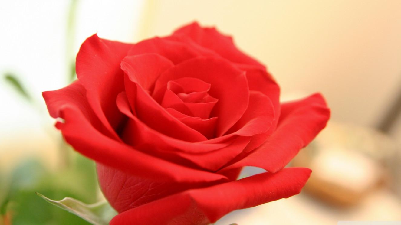 20K Ultra HD Wallpapers - Top Free 20K Ultra HD Backgrounds ...