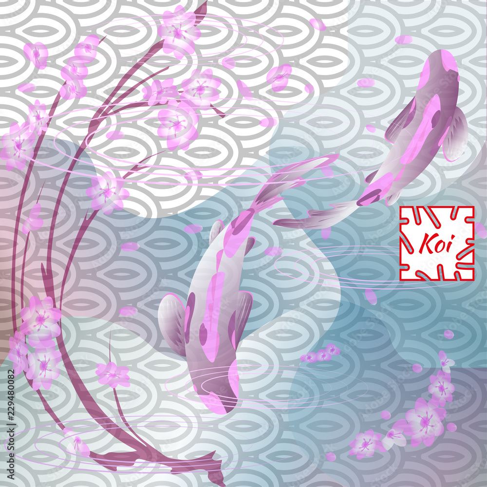 Cyprinus carpio koi Wallpapers - Top Free Cyprinus carpio koi ...
