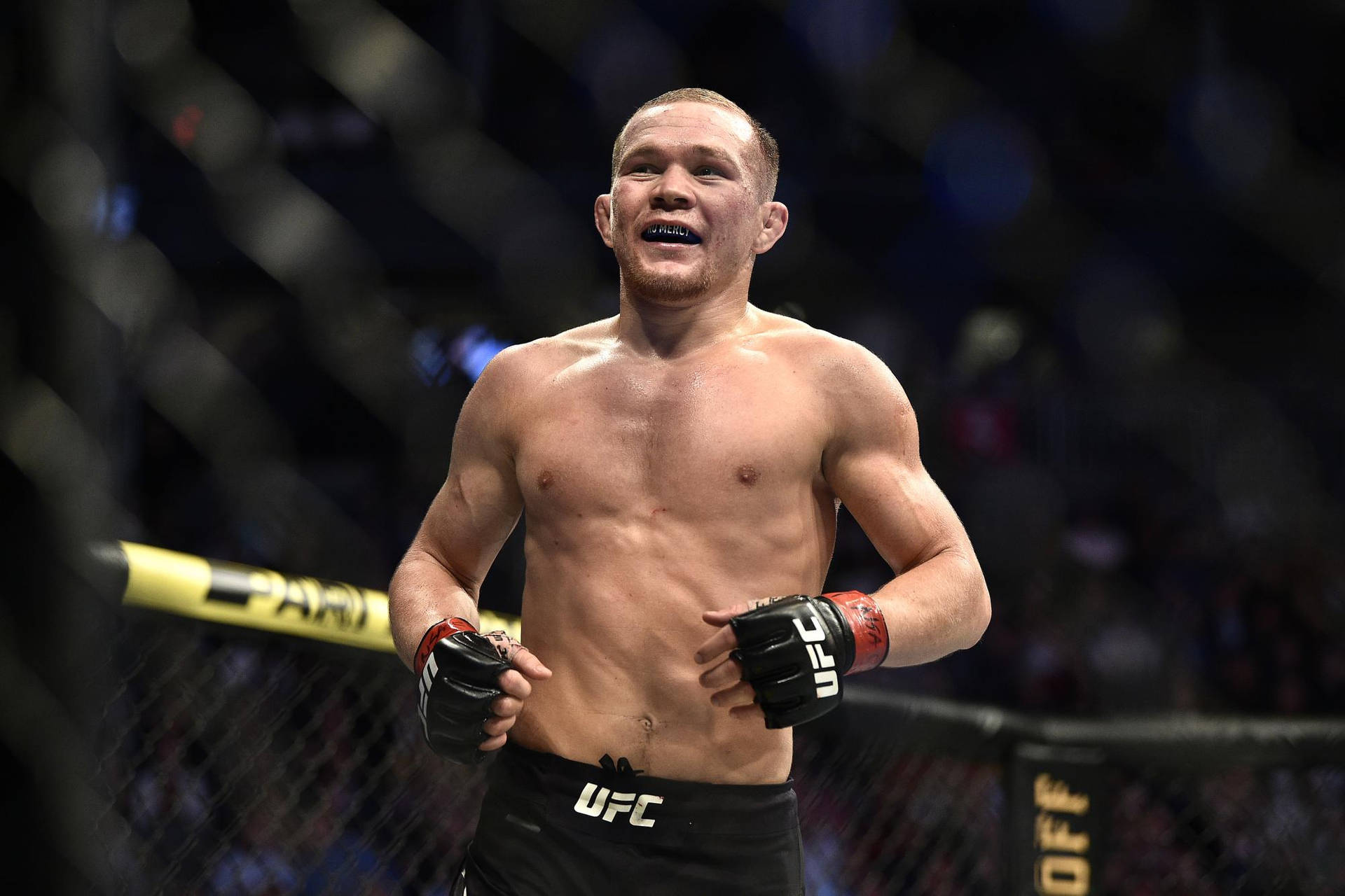 Petr Yan Wallpapers - Top Free Petr Yan Backgrounds - WallpaperAccess