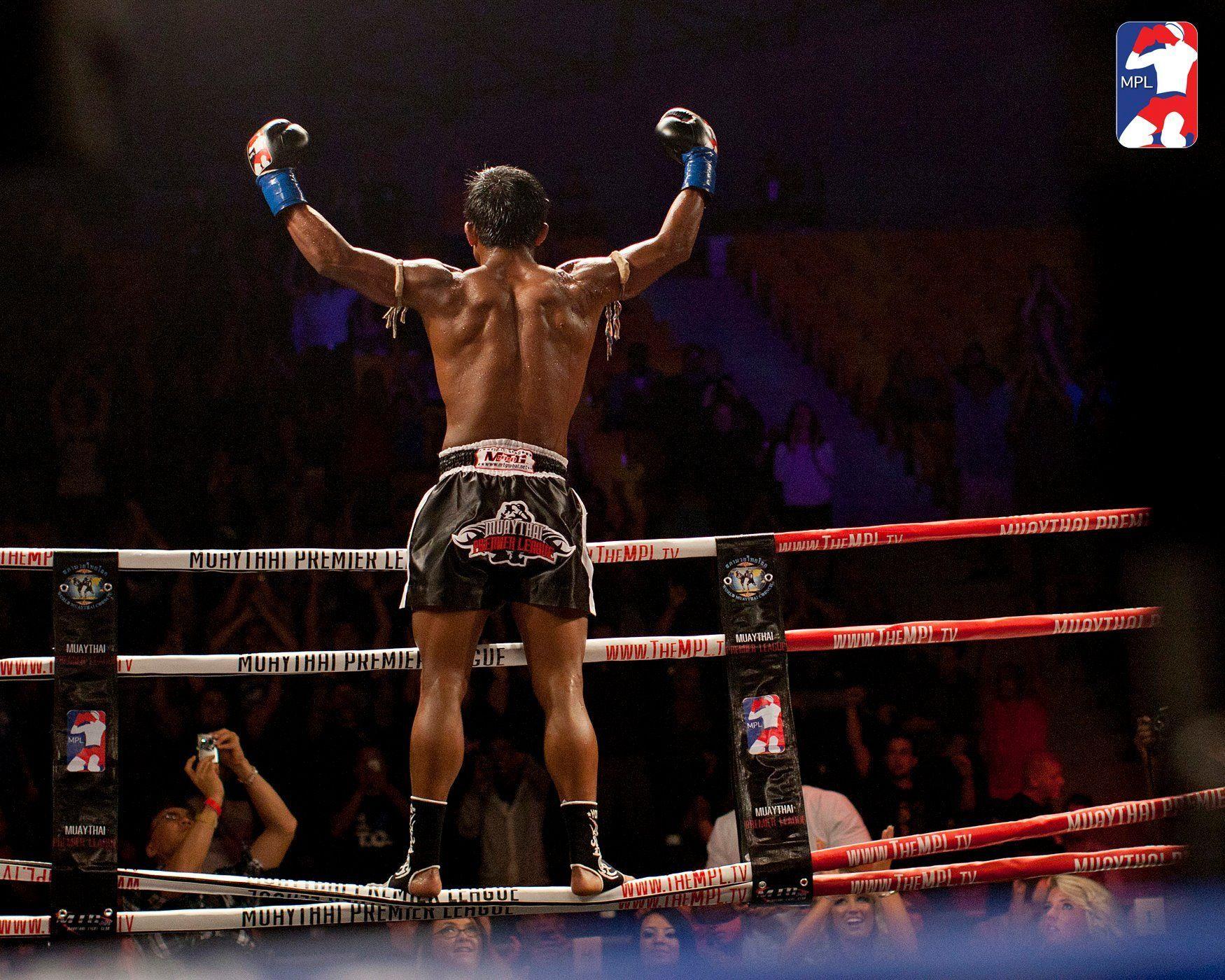 Buakaw Banchamek Wallpapers - Top Free Buakaw Banchamek Backgrounds ...