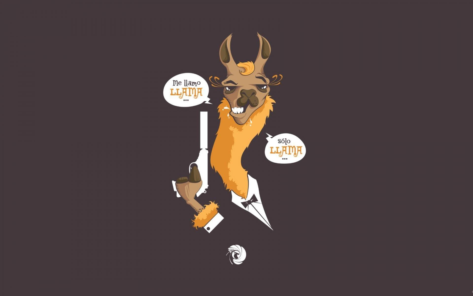 Llama Laptop Wallpapers - Top Free Llama Laptop Backgrounds ...