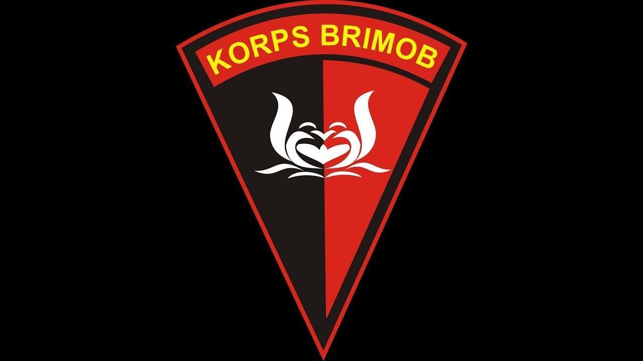 Brimob Wallpapers - Top Free Brimob Backgrounds - WallpaperAccess