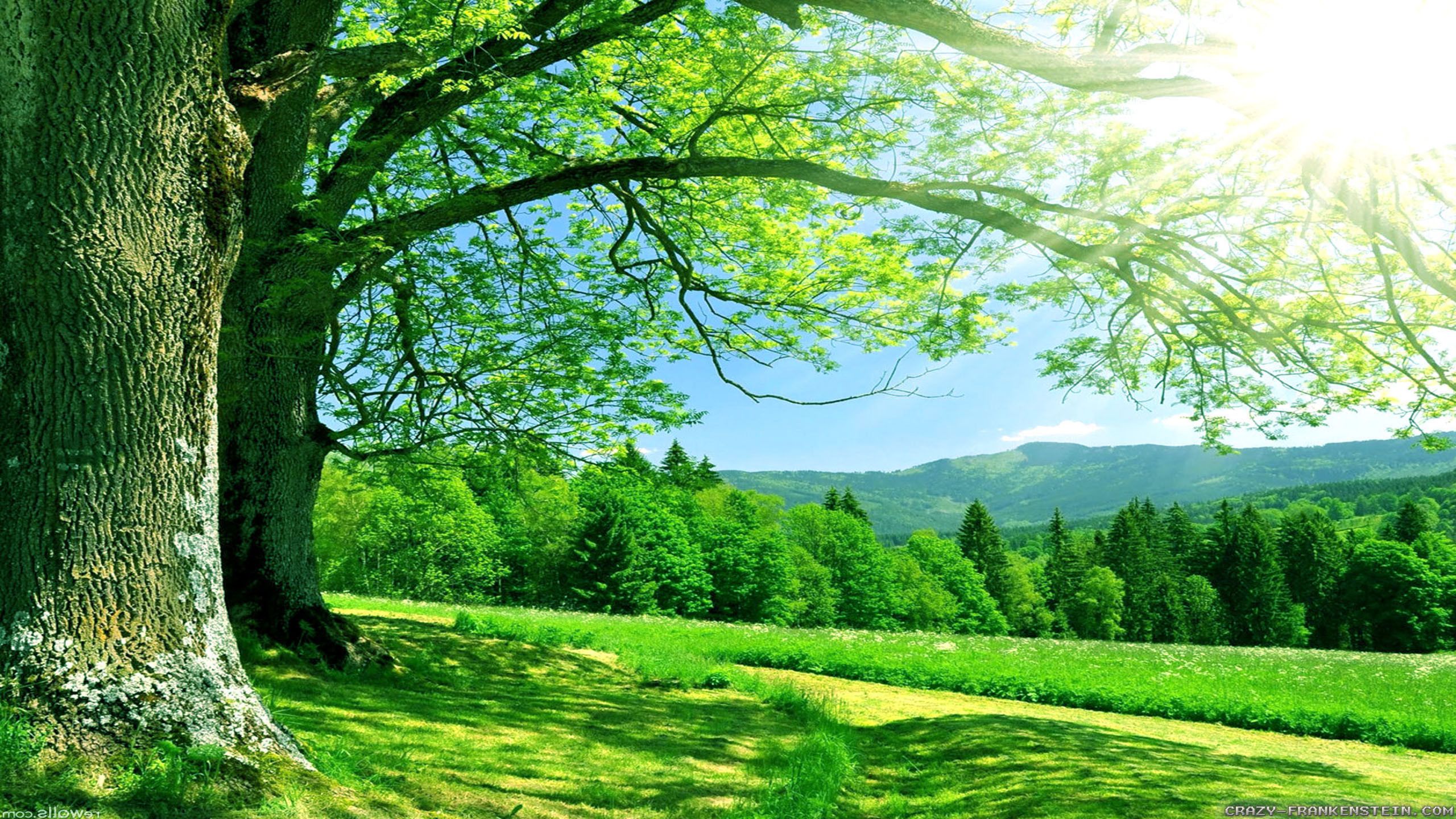 April Nature Wallpapers - Top Free April Nature Backgrounds ...