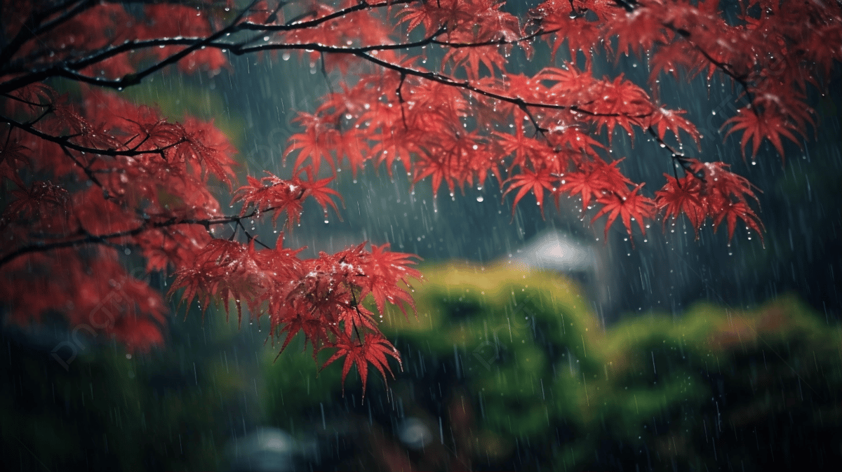 April Nature Wallpapers - Top Free April Nature Backgrounds ...