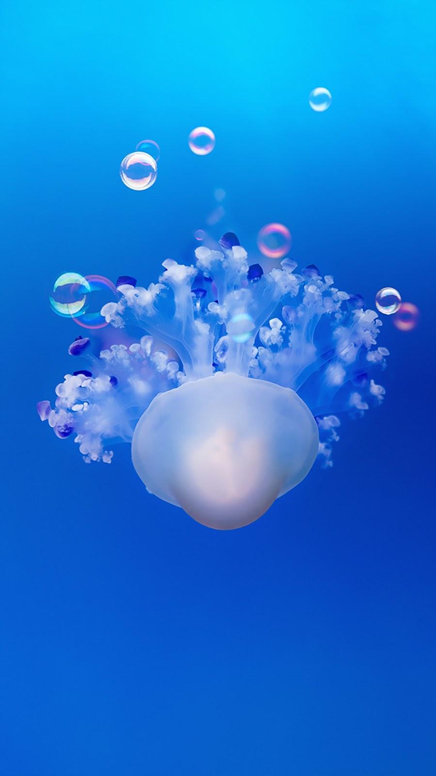 Haier Wallpapers - Top Free Haier Backgrounds - WallpaperAccess