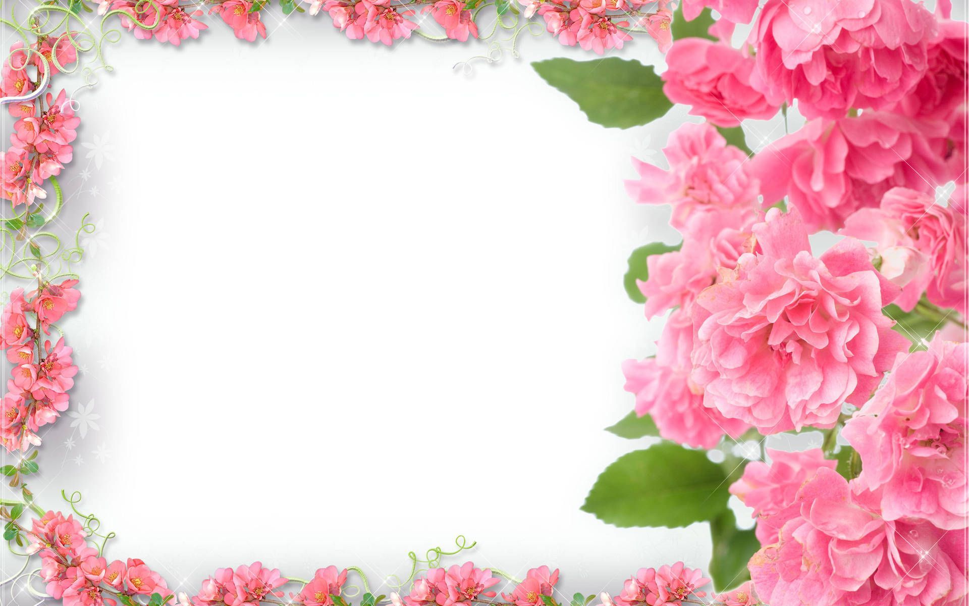 Pink Frame Wallpapers - Top Free Pink Frame Backgrounds - WallpaperAccess