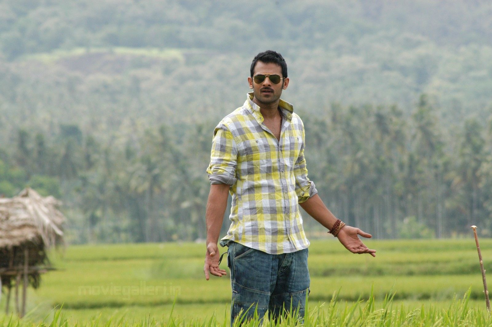 Mr Perfect Wallpapers - Top Free Mr Perfect Backgrounds - WallpaperAccess