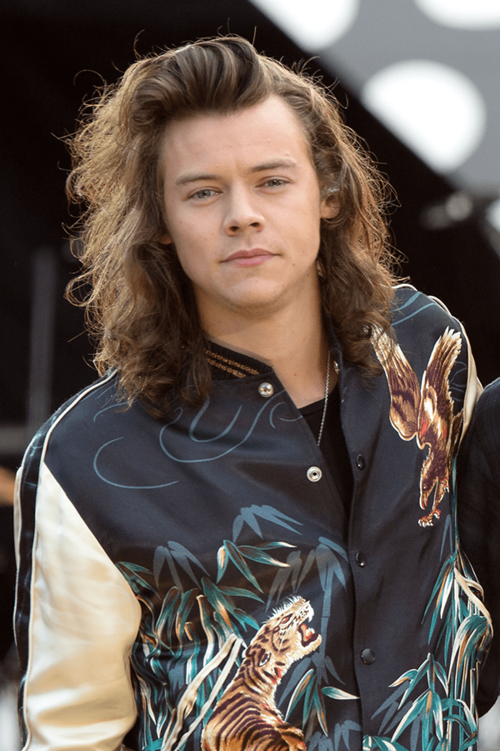 Harry Styles Long Hair Wallpapers - Top Free Harry Styles Long Hair ...