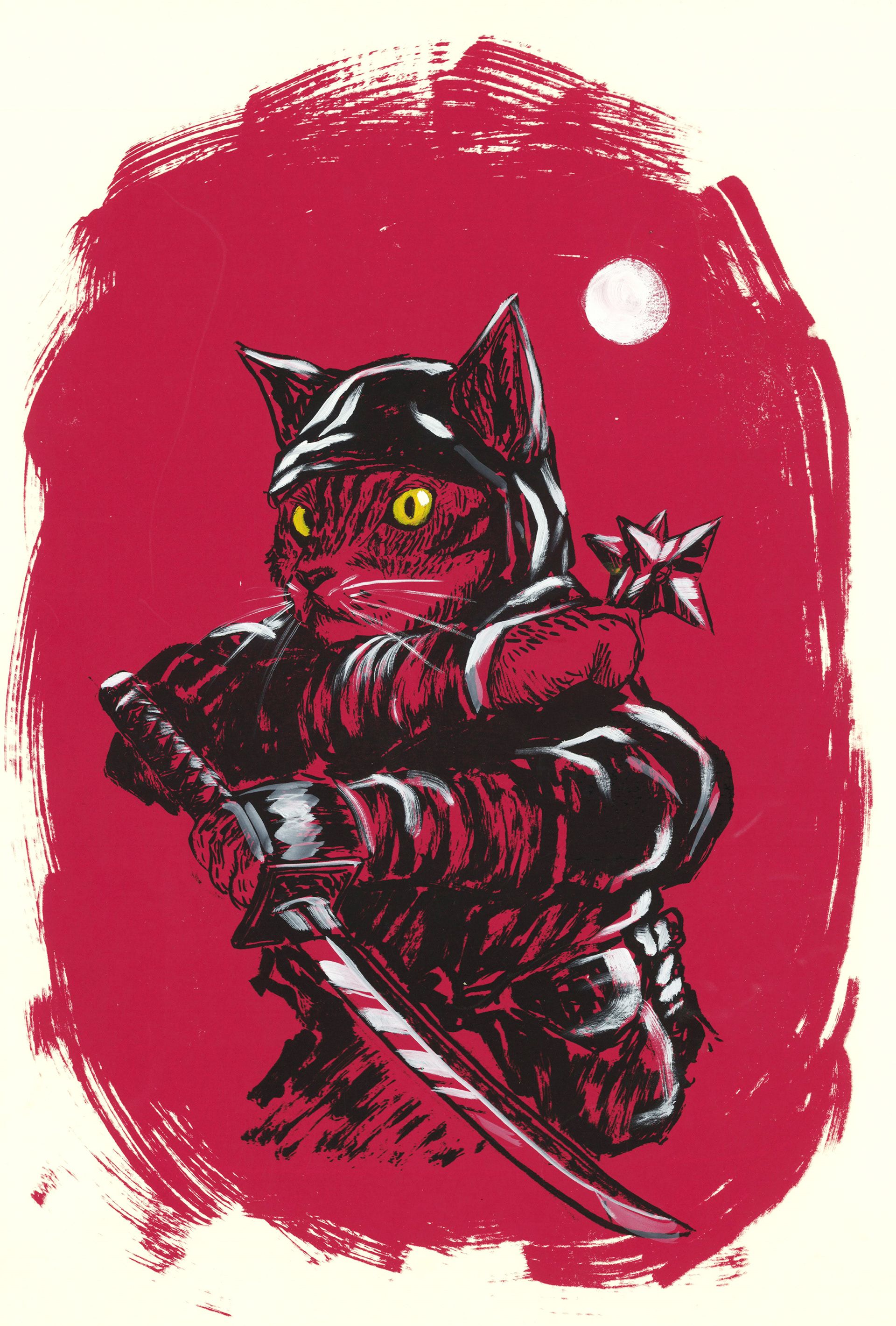 Ninja Cat Wallpapers - Top Free Ninja Cat Backgrounds - WallpaperAccess