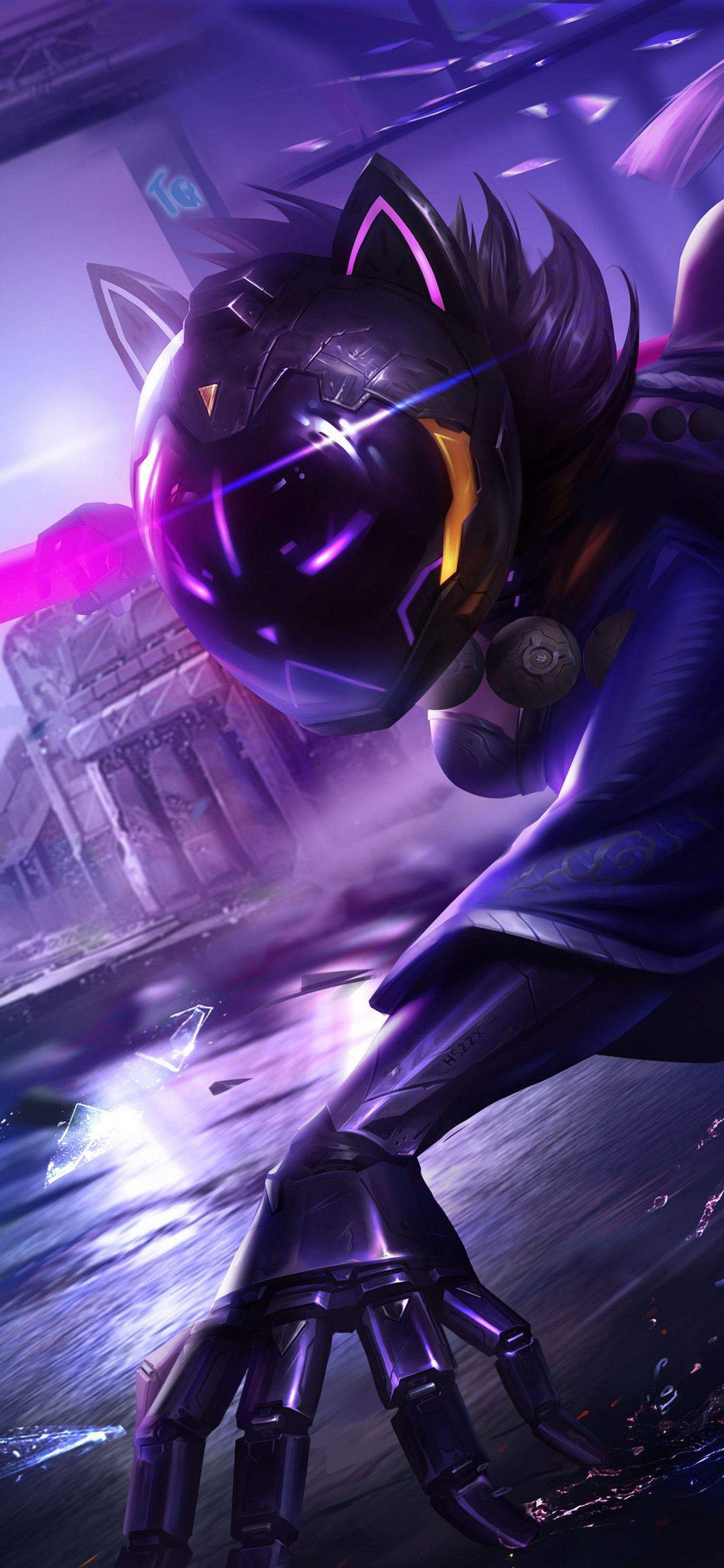 Ninja Cat Wallpapers - Top Free Ninja Cat Backgrounds - WallpaperAccess