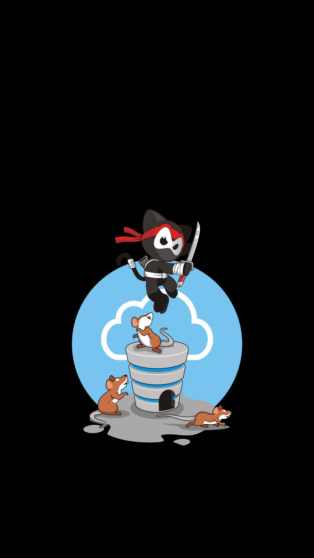 Ninja Cat Wallpapers - Top Free Ninja Cat Backgrounds - WallpaperAccess