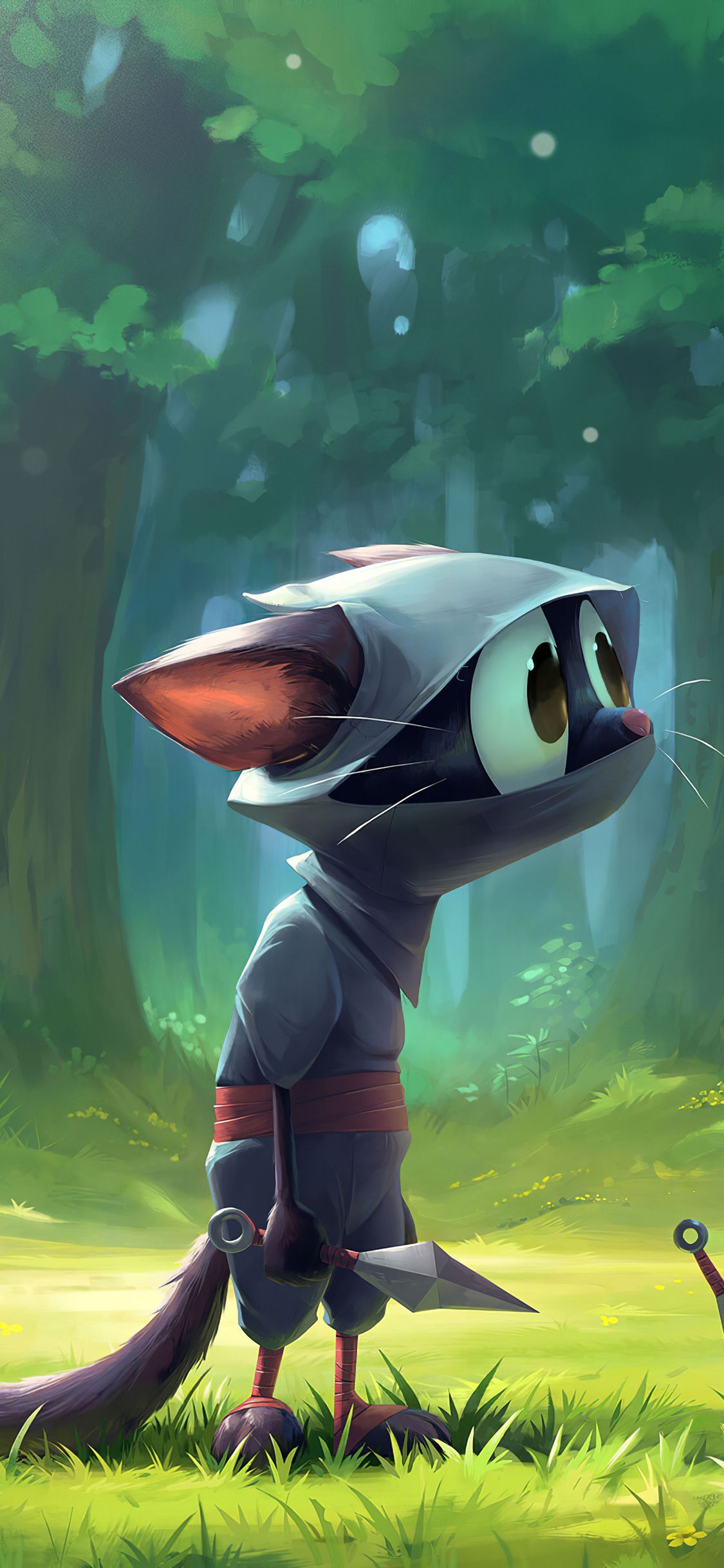 Ninja Cat Wallpapers - Top Free Ninja Cat Backgrounds - WallpaperAccess