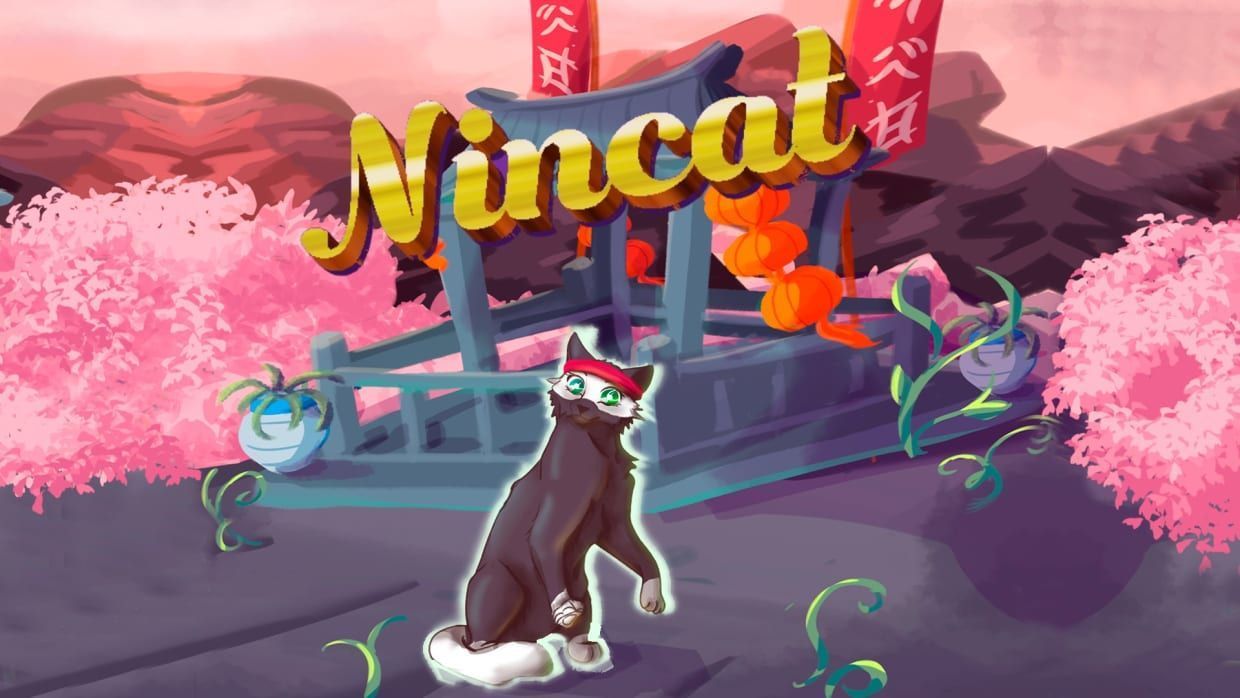 Ninja Cat Wallpapers - Top Free Ninja Cat Backgrounds - WallpaperAccess