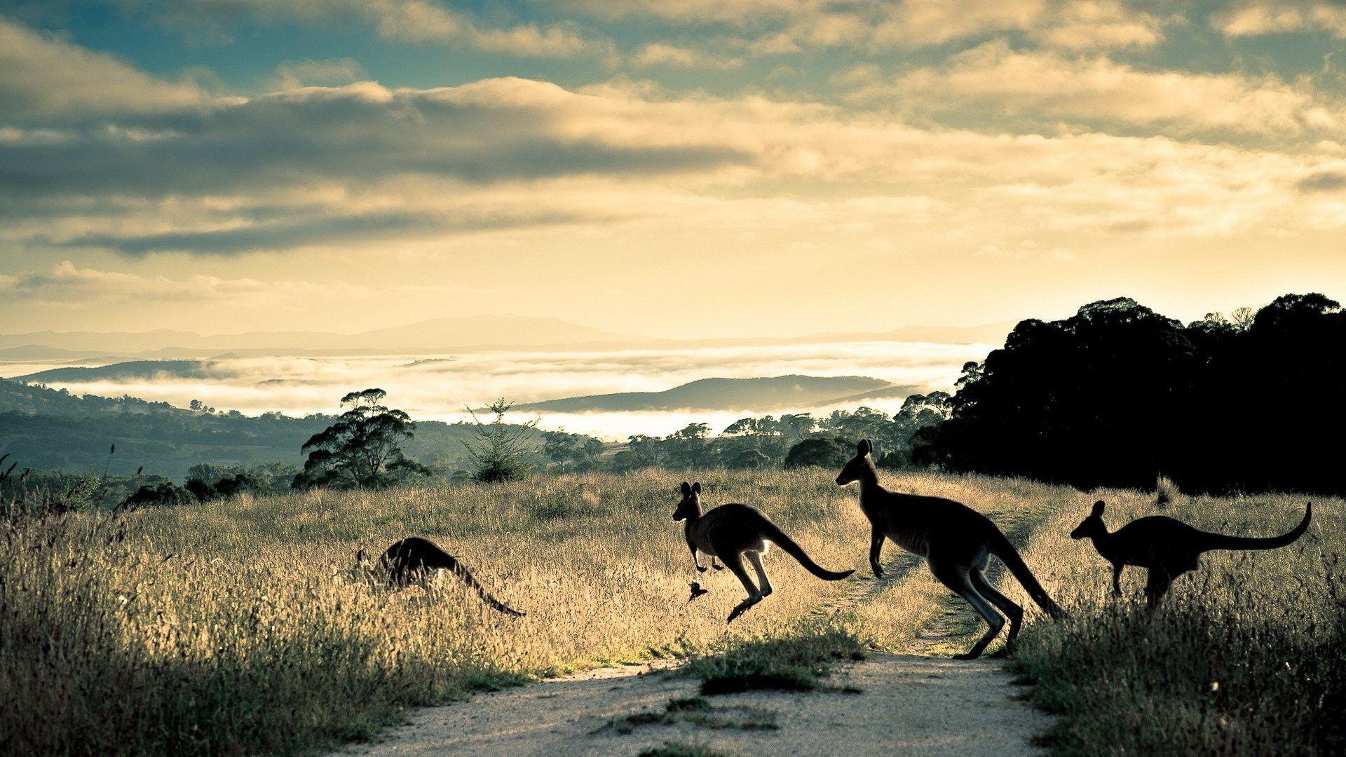 Australia Landscape Wallpapers - Top Free Australia Landscape ...