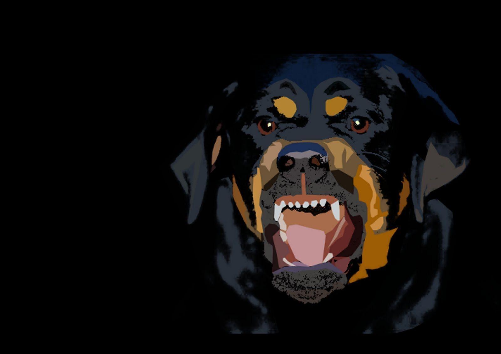 Rottweiler Wallpapers - Top Free Rottweiler Backgrounds - WallpaperAccess
