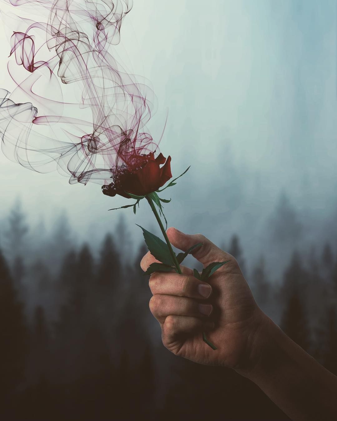 Disappear Wallpapers - Top Free Disappear Backgrounds - WallpaperAccess