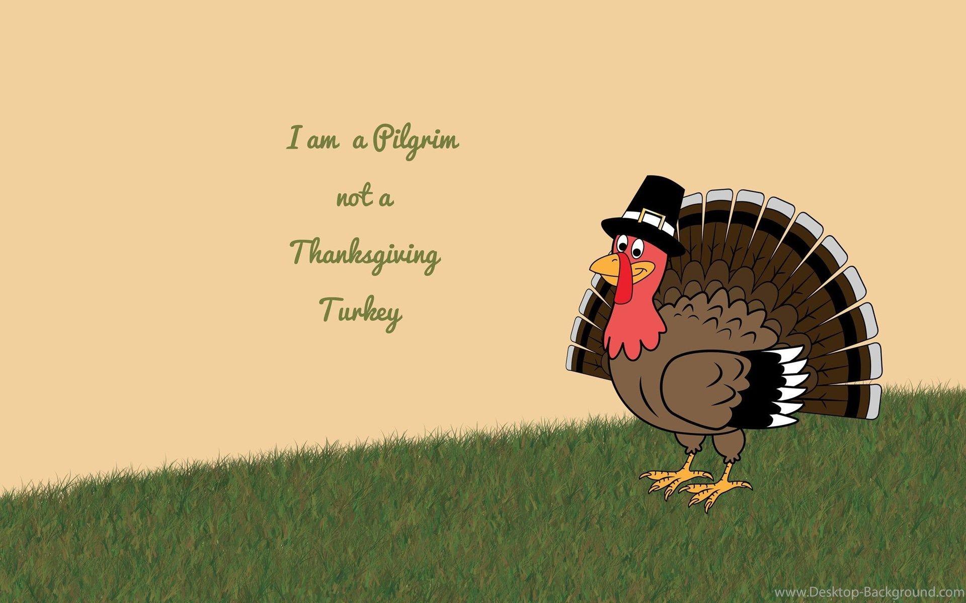 Pilgrim Thanksgiving Desktop Wallpapers - Top Free Pilgrim Thanksgiving Desktop Backgrounds ...