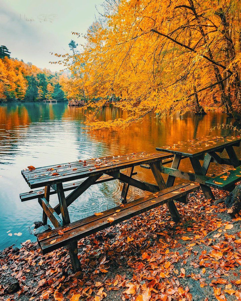 Bolu Wallpapers - Top Free Bolu Backgrounds - WallpaperAccess