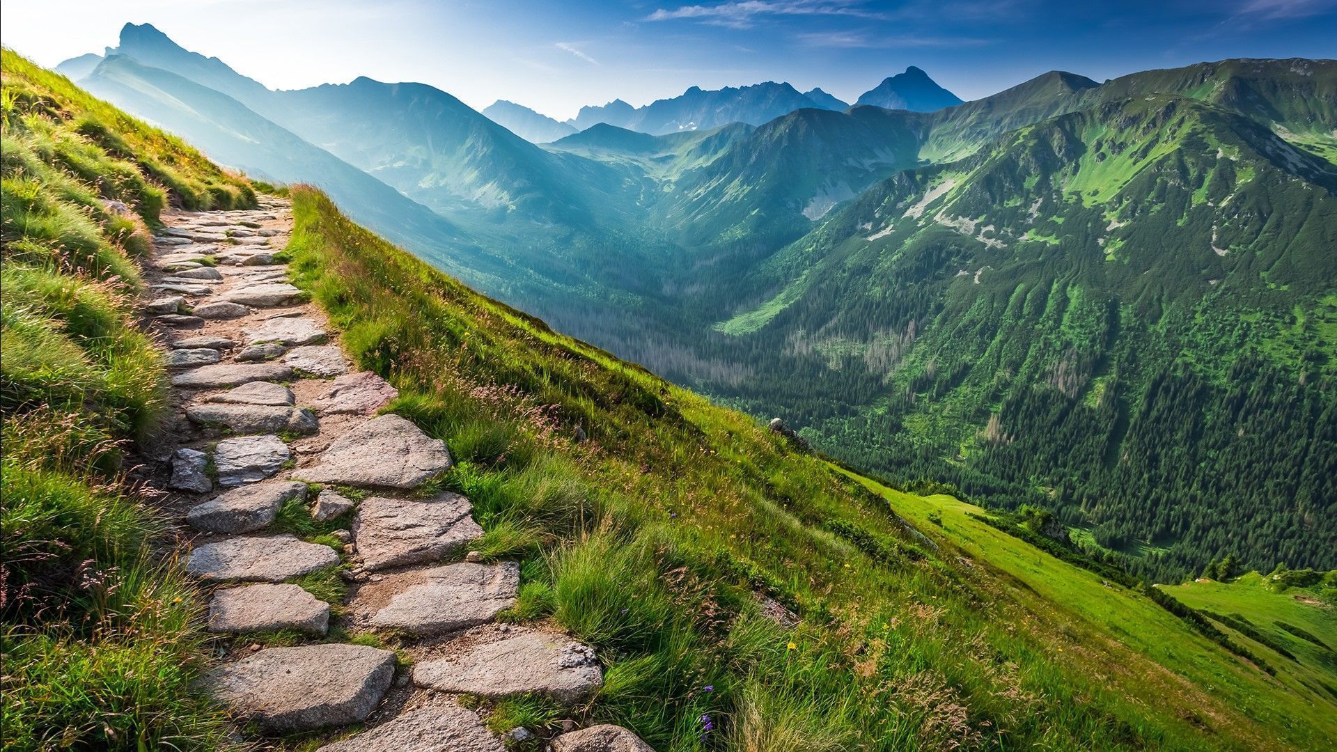 Zakopane Wallpapers - Top Free Zakopane Backgrounds - WallpaperAccess