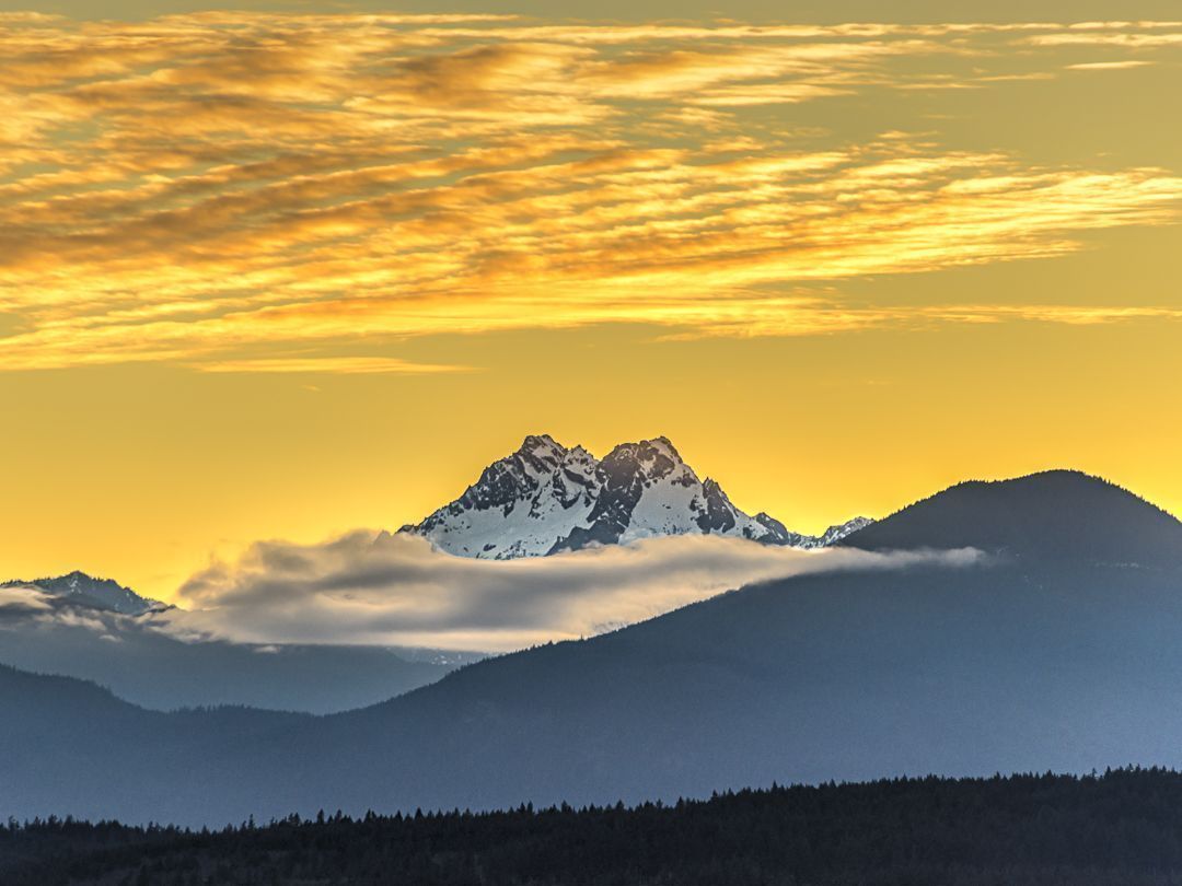 Salish Matter Wallpapers - Top Free Salish Matter Backgrounds ...