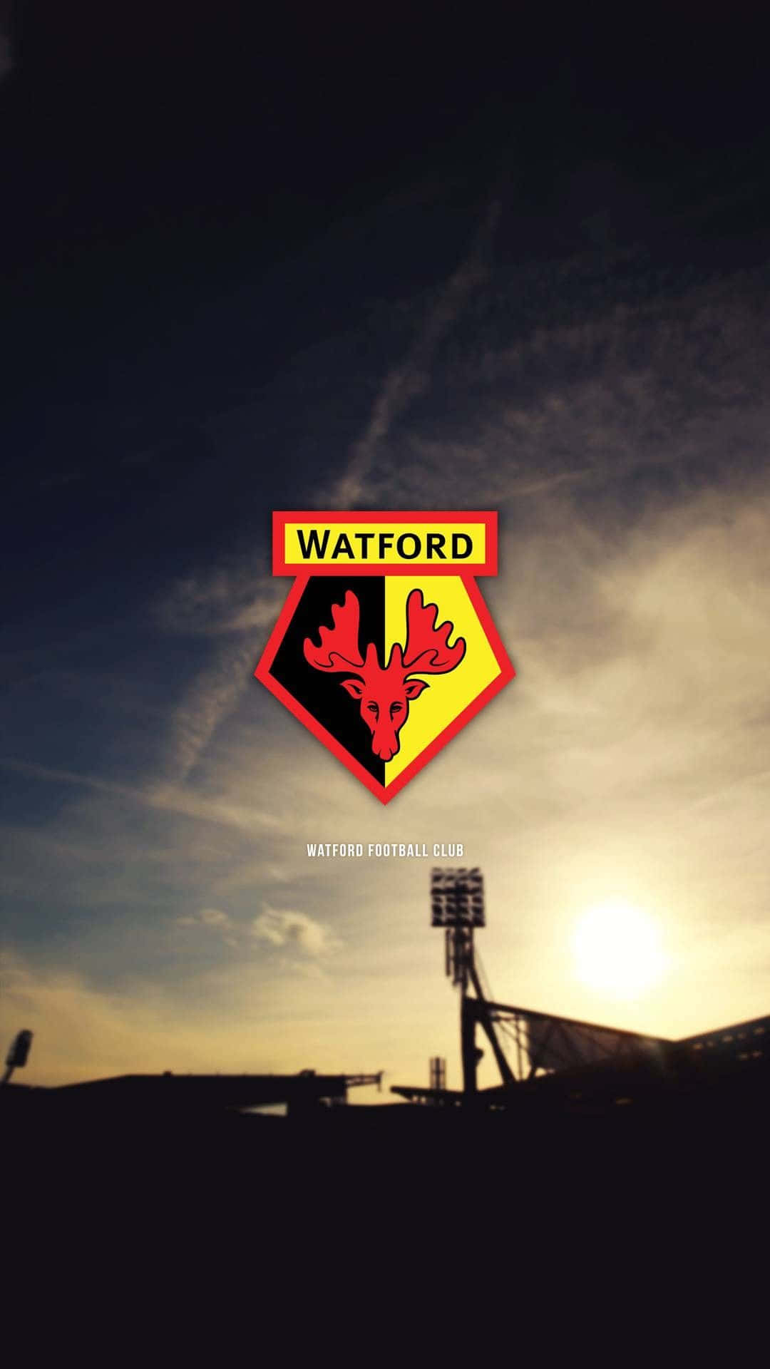Watford Wallpapers - Top Free Watford Backgrounds - WallpaperAccess