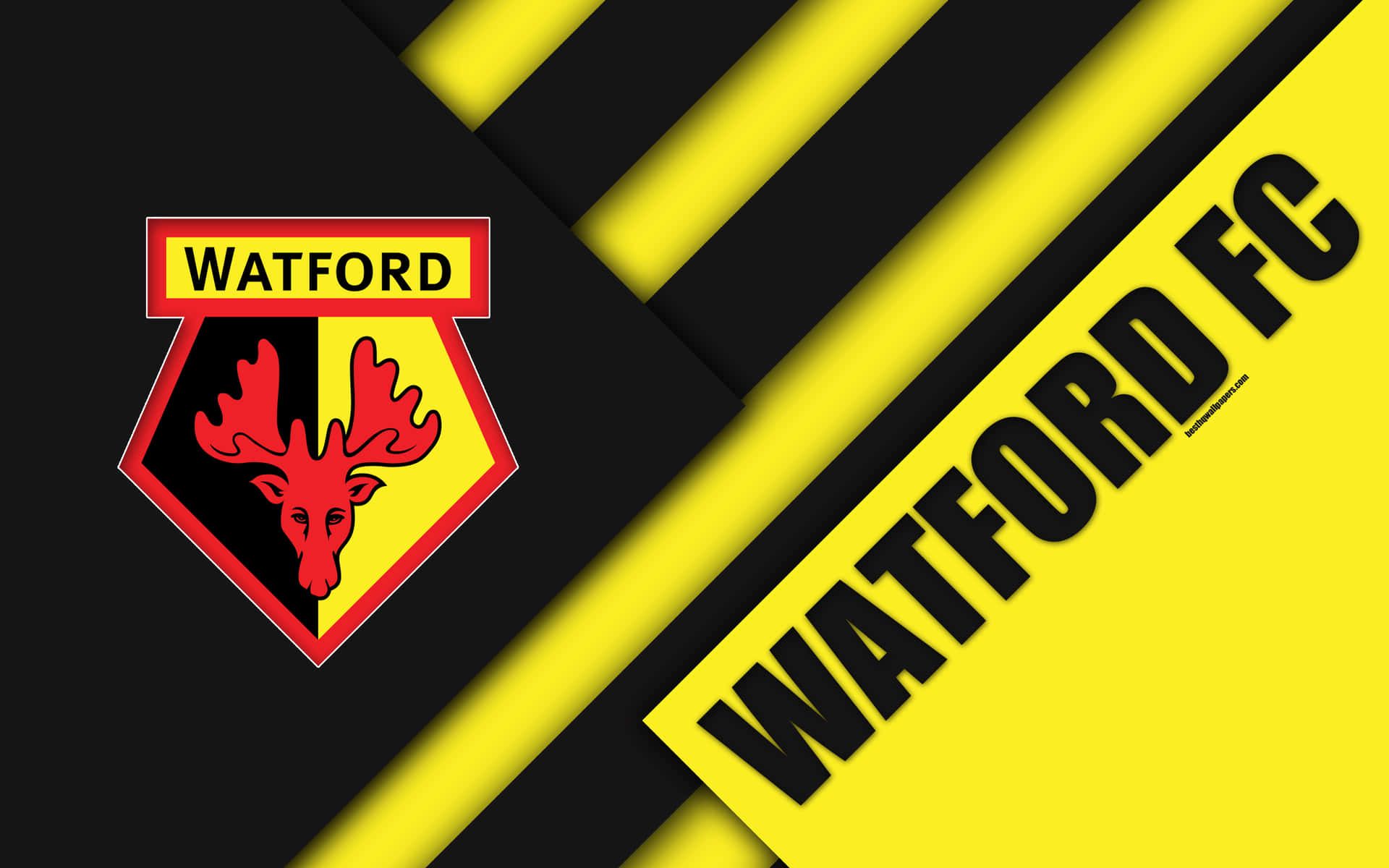Watford Wallpapers - Top Free Watford Backgrounds - WallpaperAccess