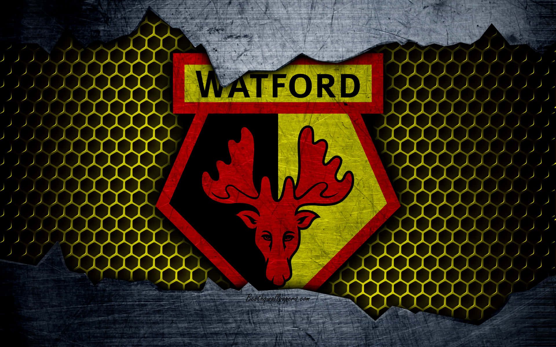 Watford Wallpapers - Top Free Watford Backgrounds - WallpaperAccess