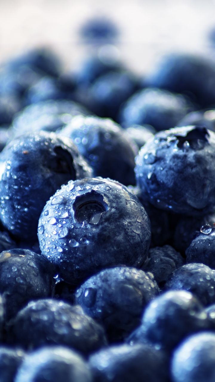 Crisp Wallpapers - Top Free Crisp Backgrounds - WallpaperAccess