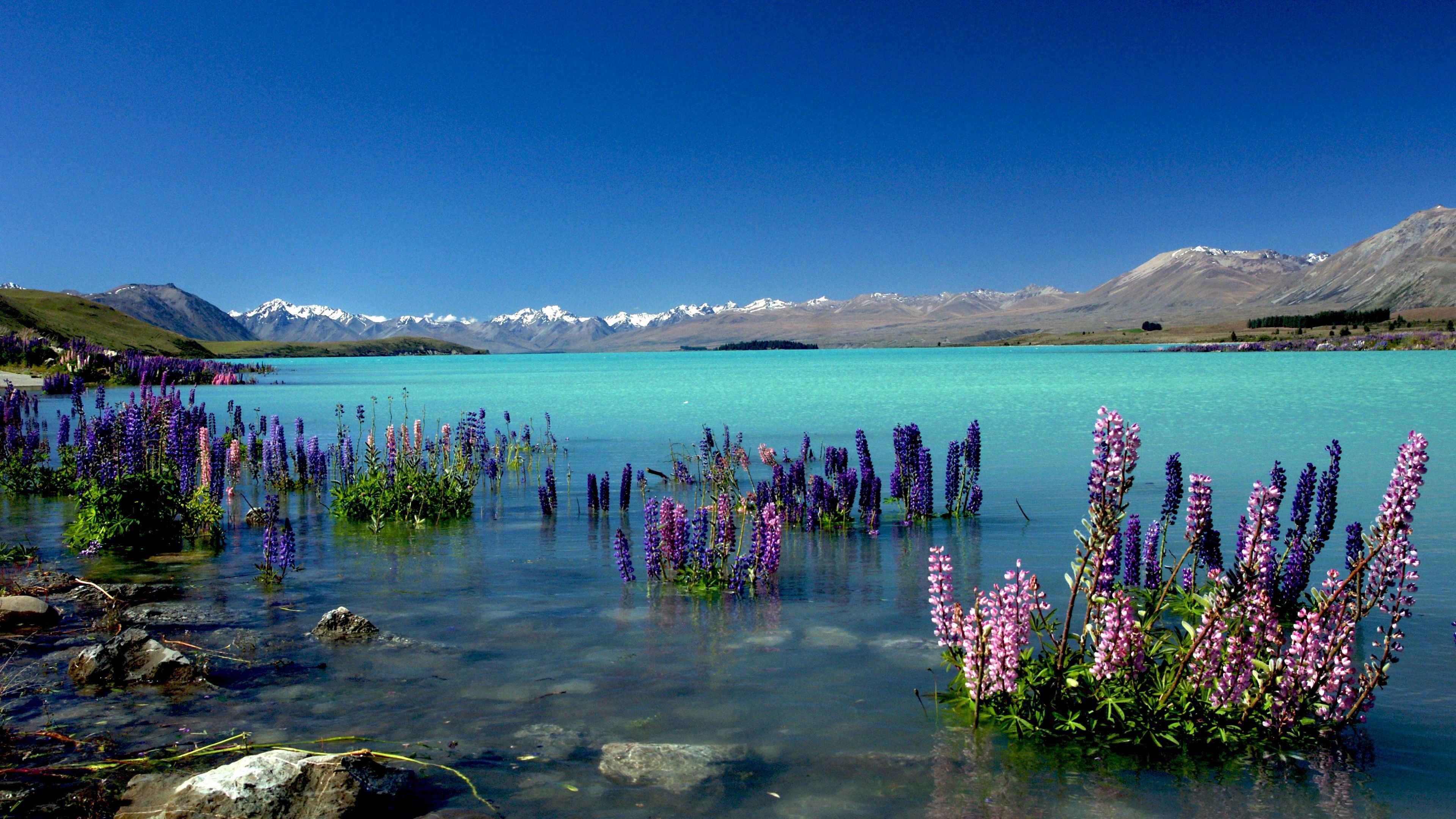 Lake Tekapo Wallpapers - Top Free Lake Tekapo Backgrounds - WallpaperAccess