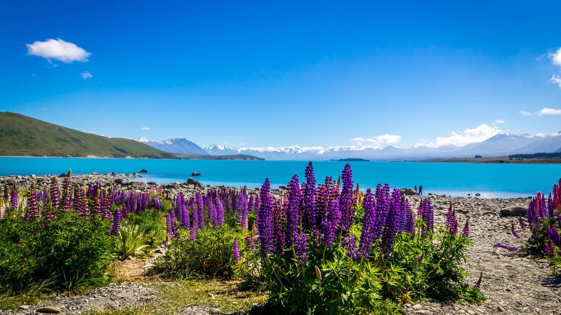 Lake Tekapo Wallpapers - Top Free Lake Tekapo Backgrounds - WallpaperAccess