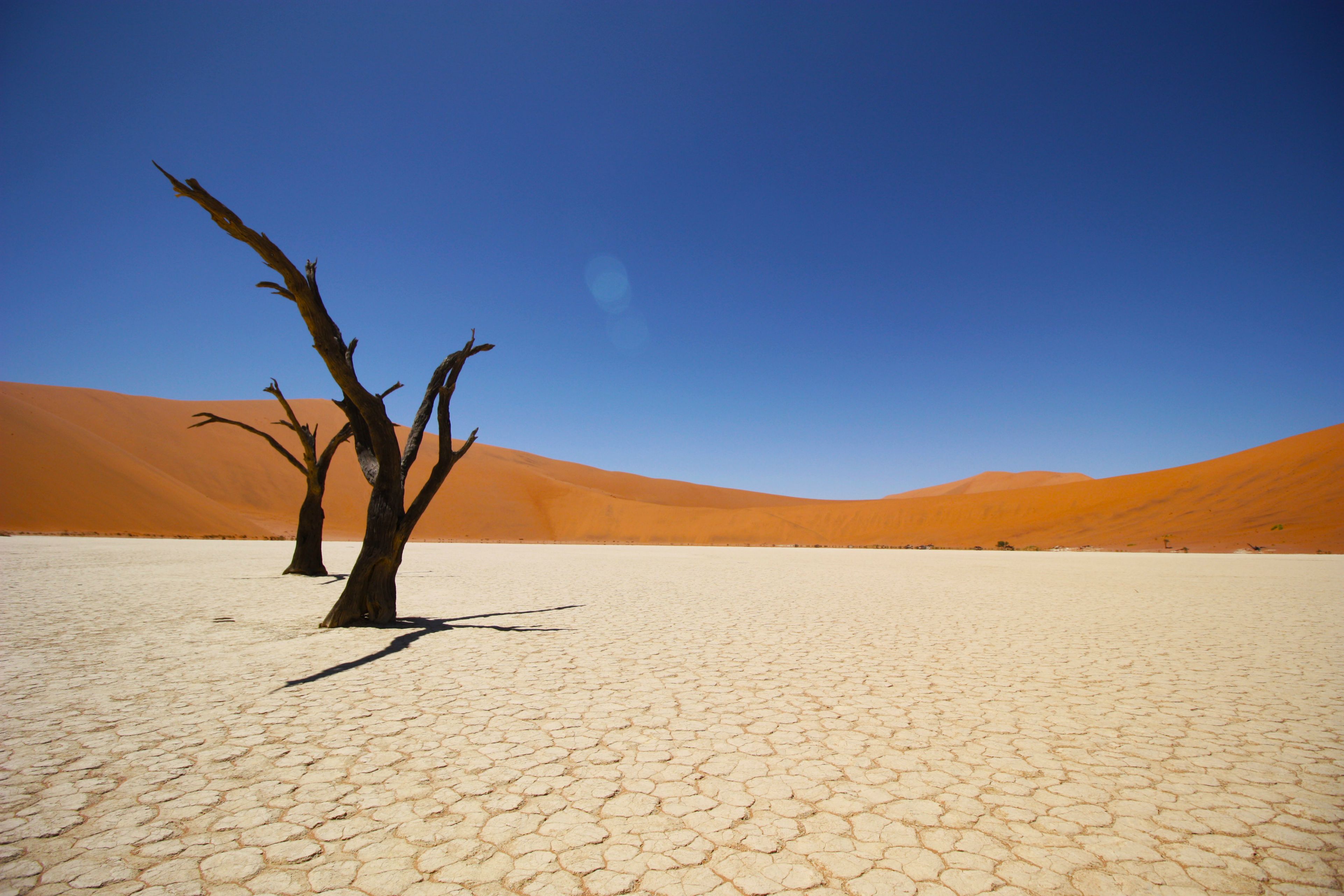 Barren Wallpapers - Top Free Barren Backgrounds - WallpaperAccess