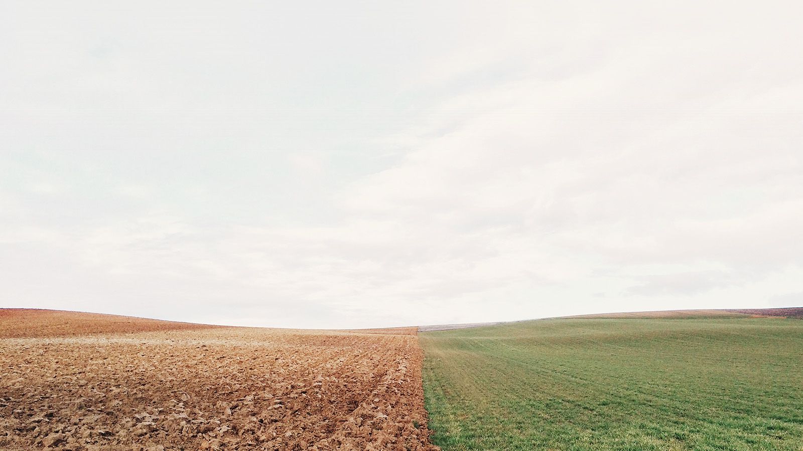 Barren Wallpapers - Top Free Barren Backgrounds - WallpaperAccess