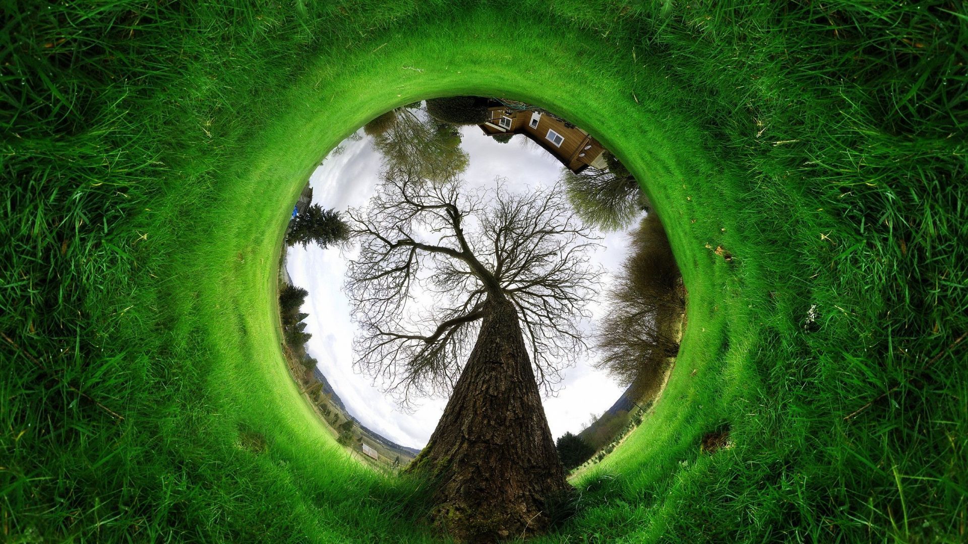 Fish Eye Wallpapers - Top Free Fish Eye Backgrounds - WallpaperAccess