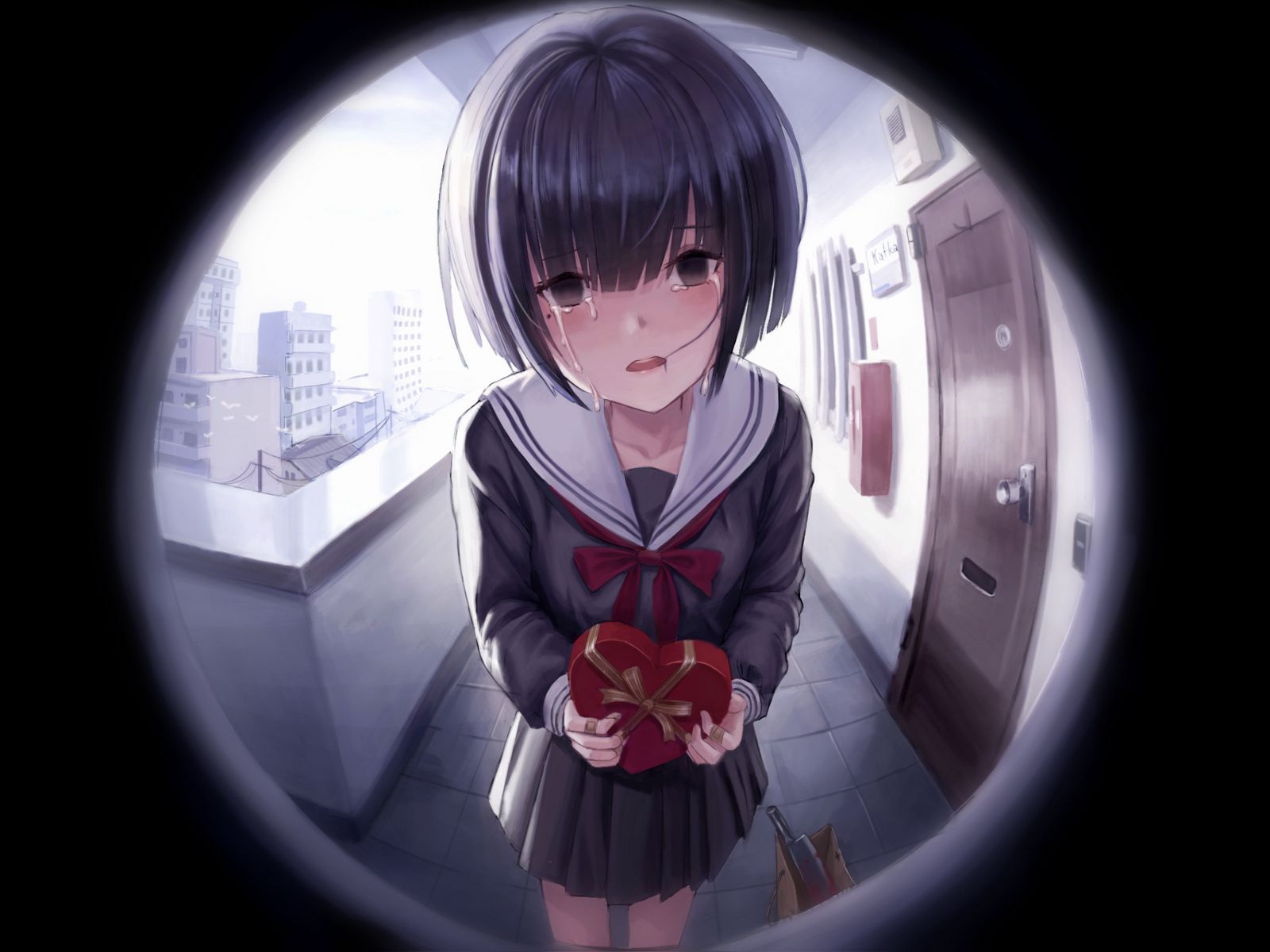 Fish Eye Wallpapers - Top Free Fish Eye Backgrounds - WallpaperAccess