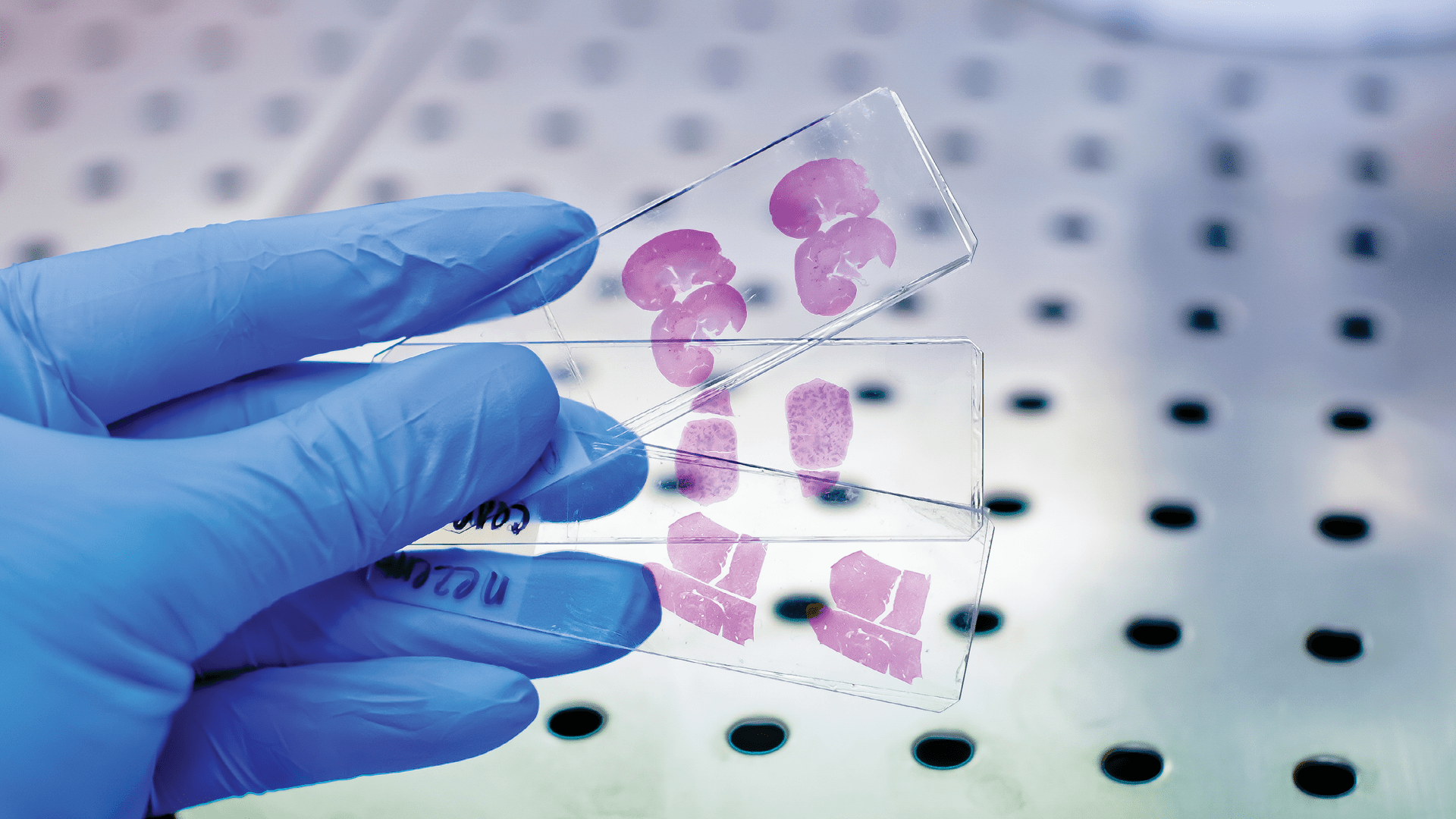 Increase Wallpapers - Top Free Increase Backgrounds - WallpaperAccess