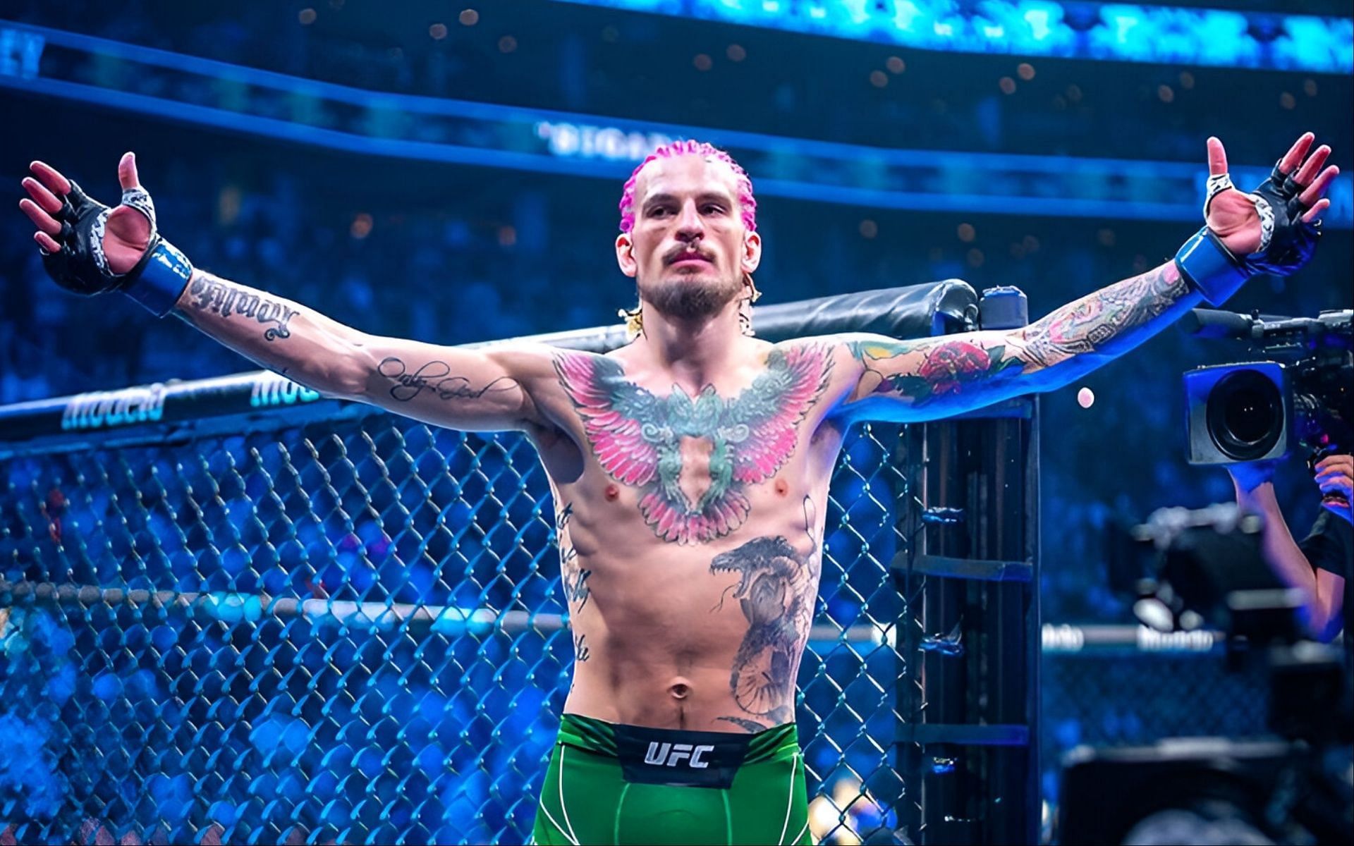 Sean O'Malley Wallpapers - Top Free Sean O'Malley Backgrounds - WallpaperAccess