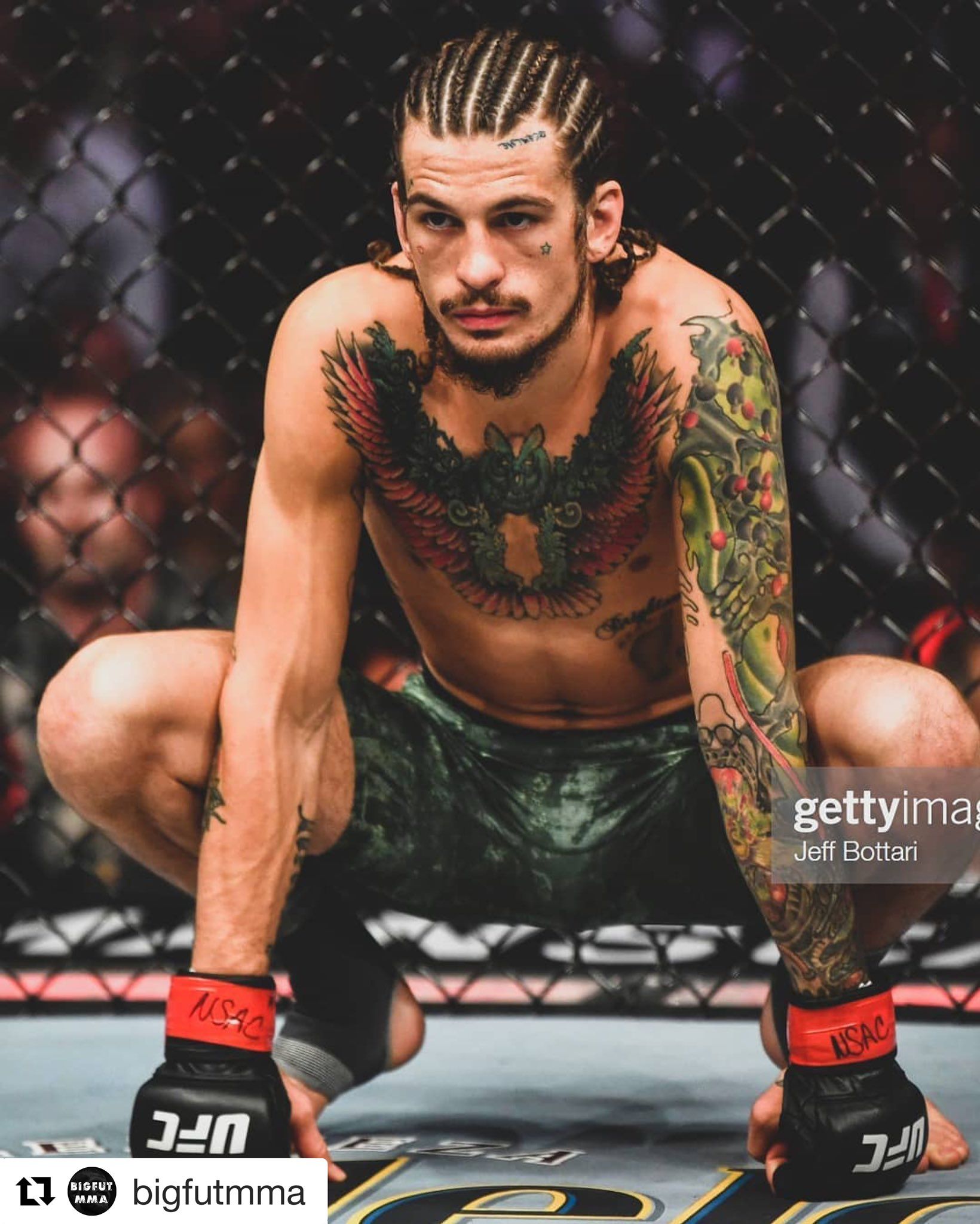 Sean O'Malley Wallpapers - Top Free Sean O'Malley Backgrounds ...