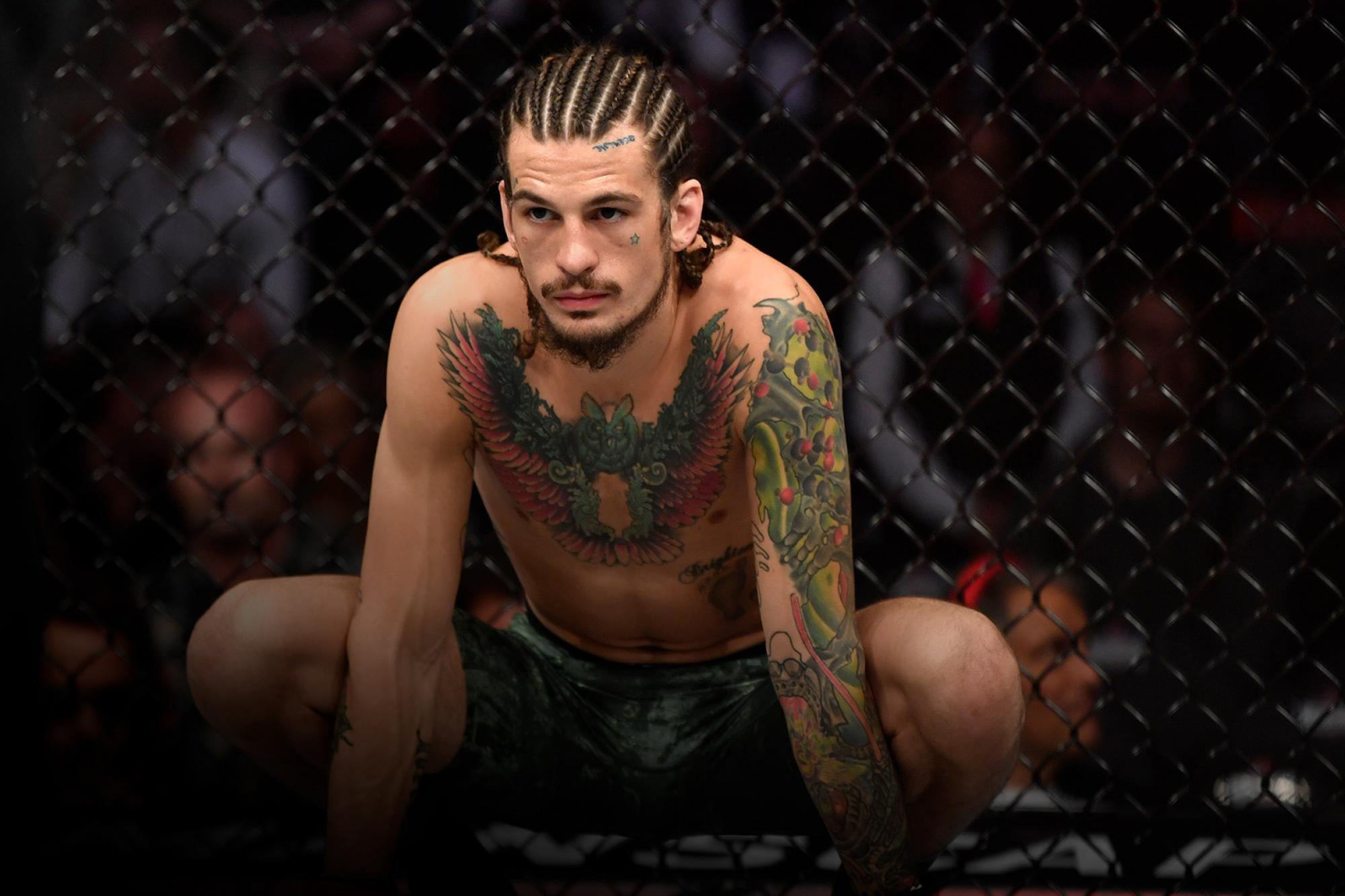 Sean O'Malley Wallpapers - Top Free Sean O'Malley Backgrounds ...