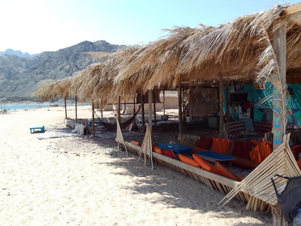 Dahab Wallpapers - Top Free Dahab Backgrounds - WallpaperAccess