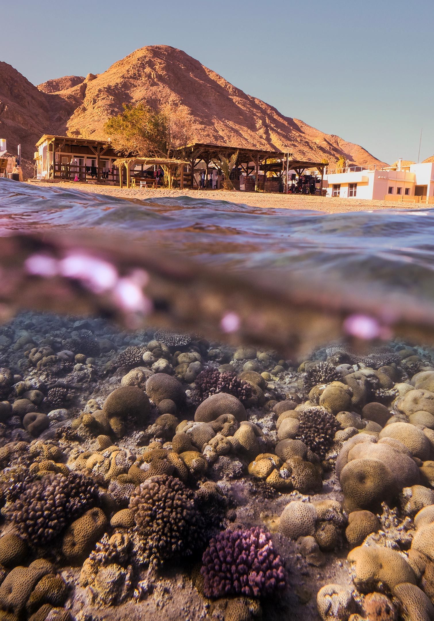 Dahab Wallpapers - Top Free Dahab Backgrounds - WallpaperAccess
