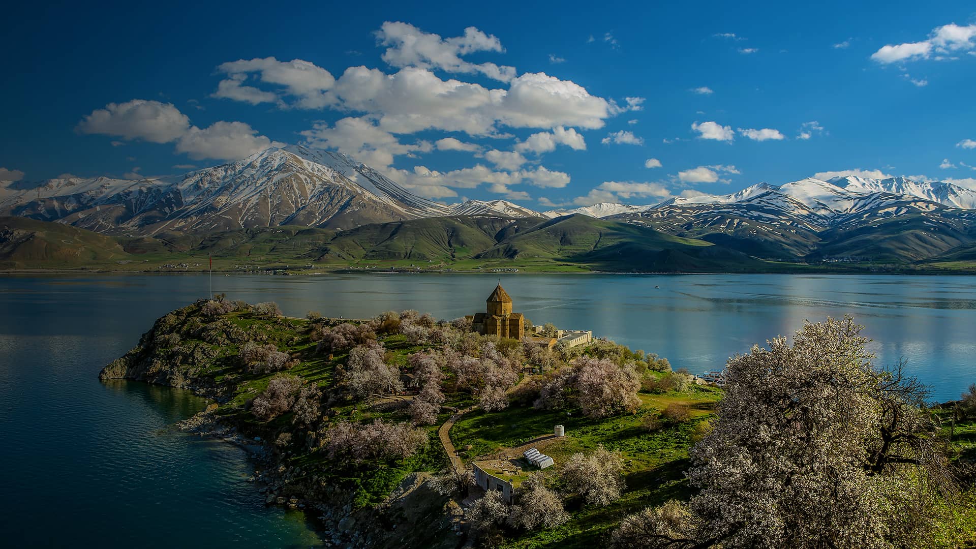 Van Turkey Wallpapers - Top Free Van Turkey Backgrounds - WallpaperAccess