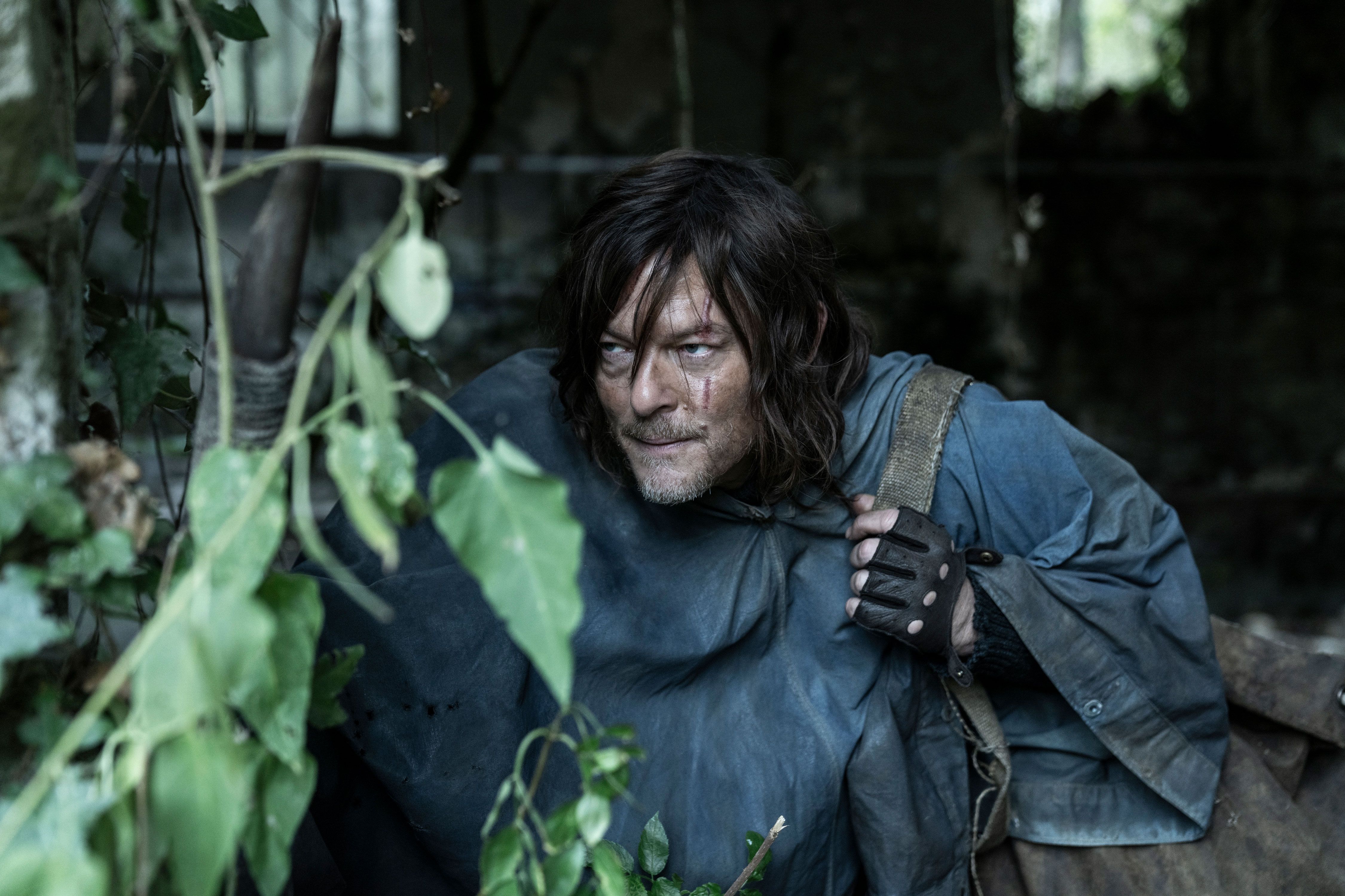 The Walking Dead: Daryl Dixon Wallpapers - Top Free The Walking Dead ...