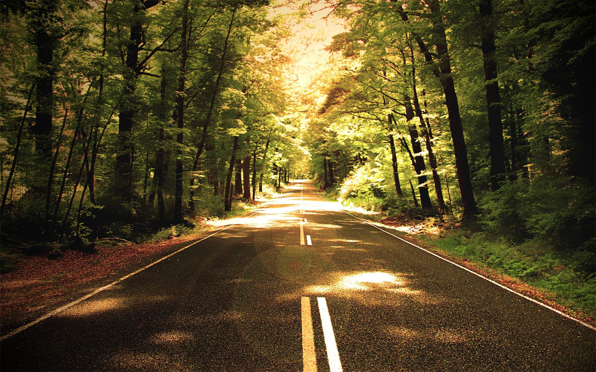 Sunny Road Wallpapers - Top Free Sunny Road Backgrounds - WallpaperAccess