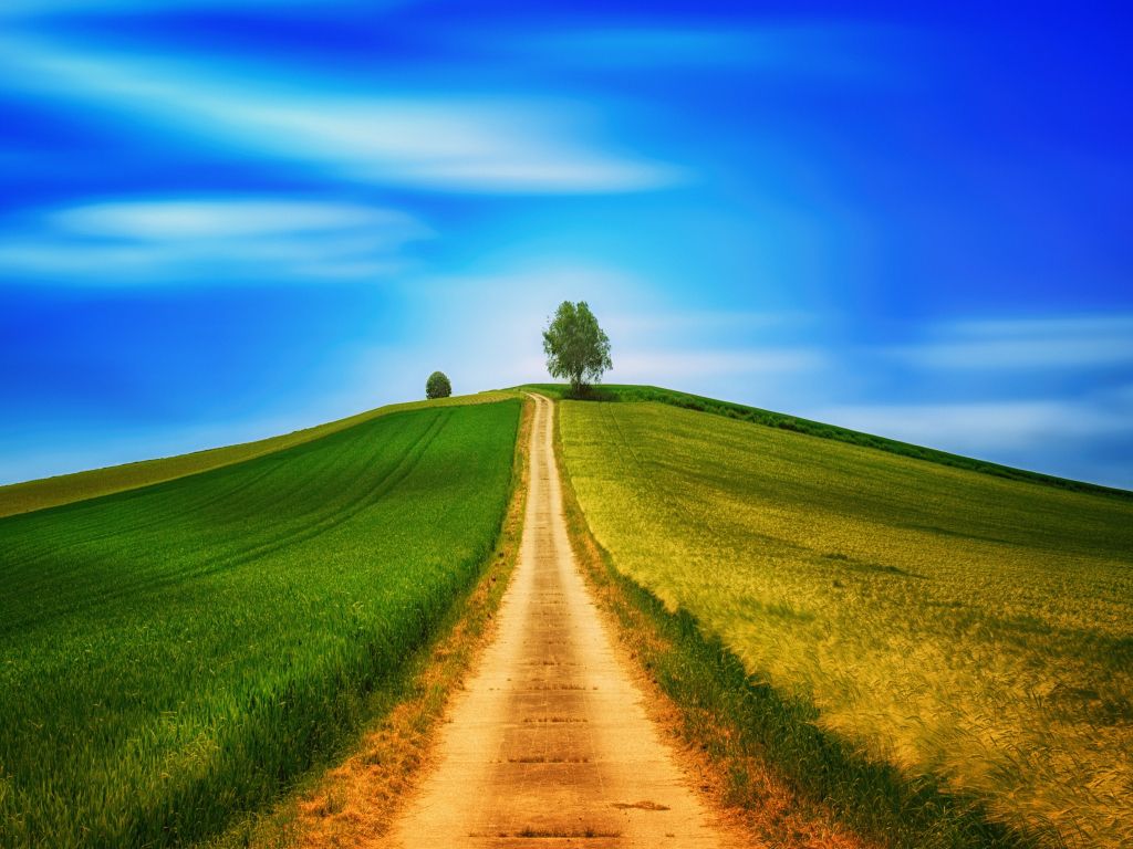 Sunny Road Wallpapers - Top Free Sunny Road Backgrounds - WallpaperAccess