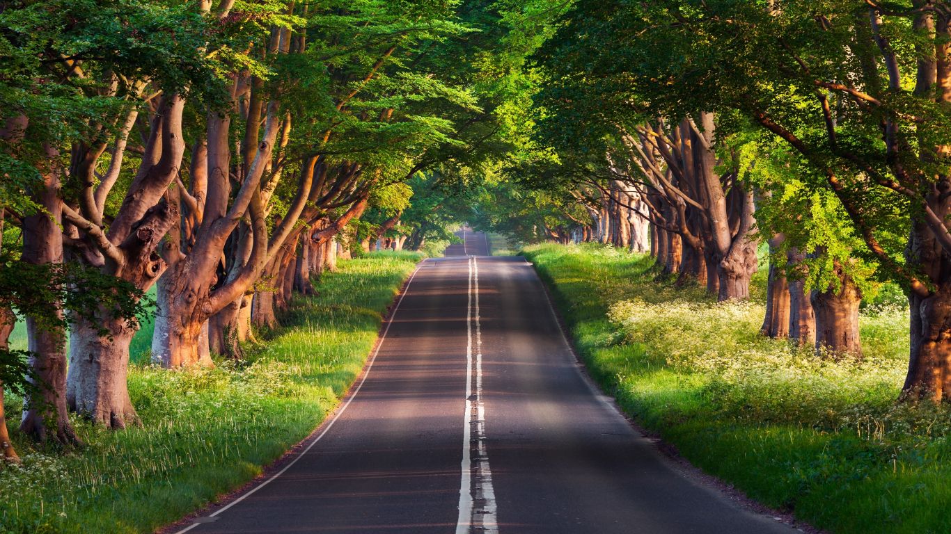 Sunny Road Wallpapers - Top Free Sunny Road Backgrounds - WallpaperAccess